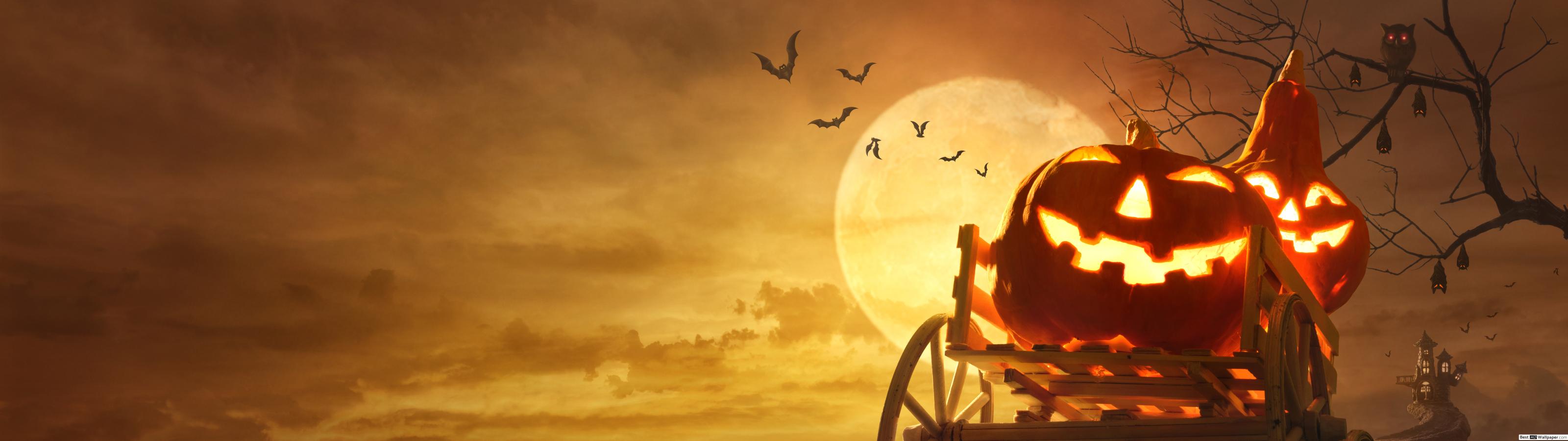Count Down Halloween Wallpapers - Wallpaper Cave