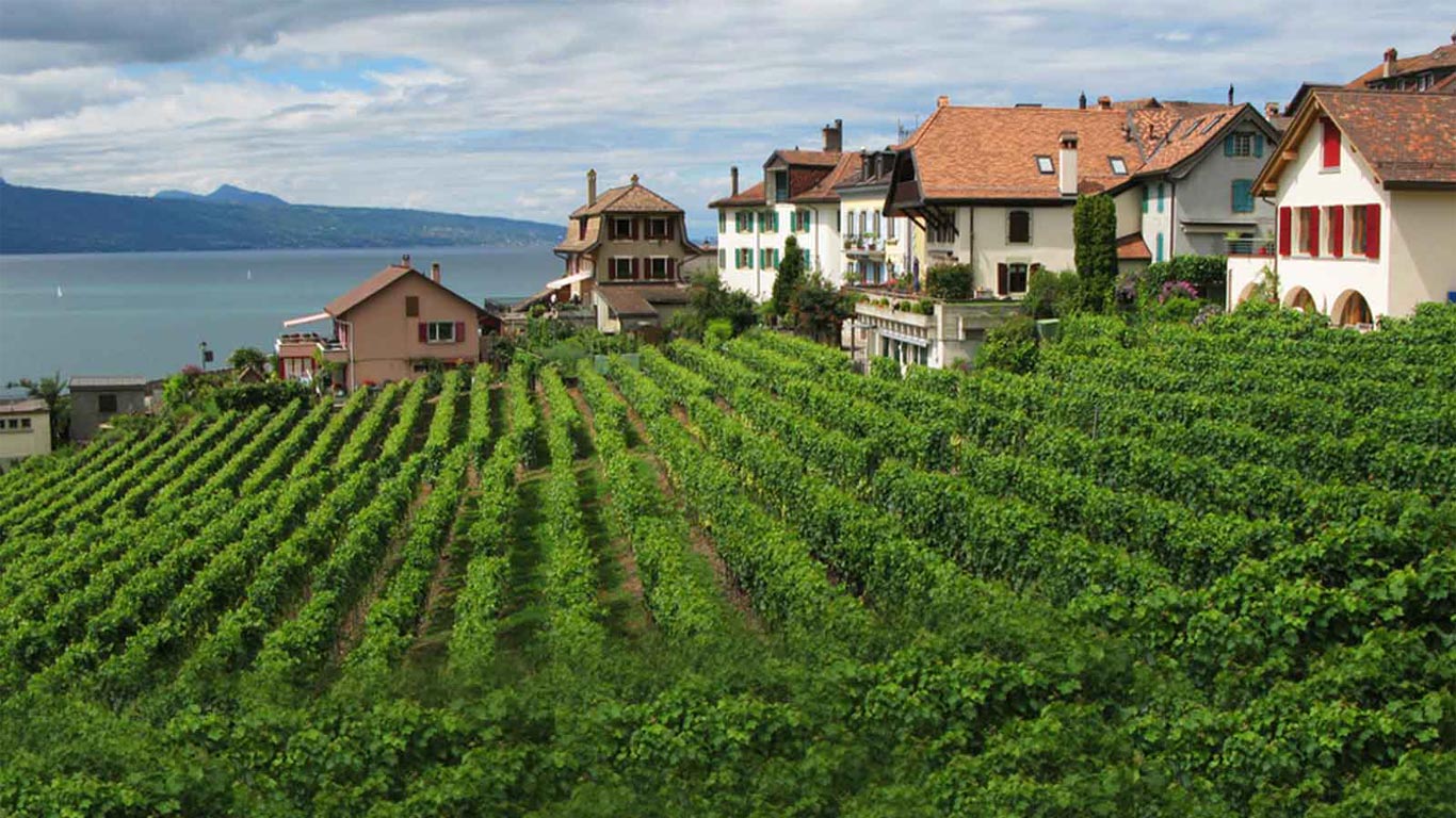 Assam Landscape Wallpapers - Wallpaper Cave