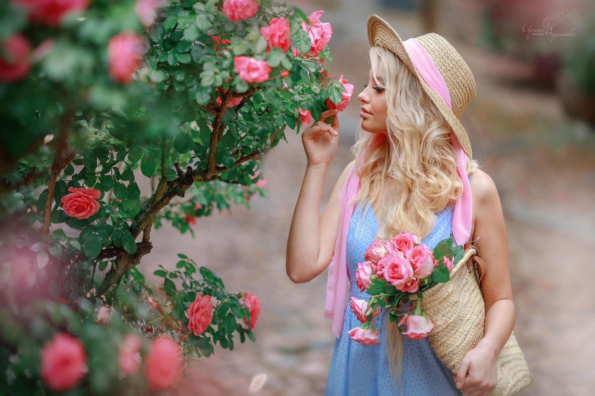 Women With Rose Flower Wallpapers - Wallpaper Cave