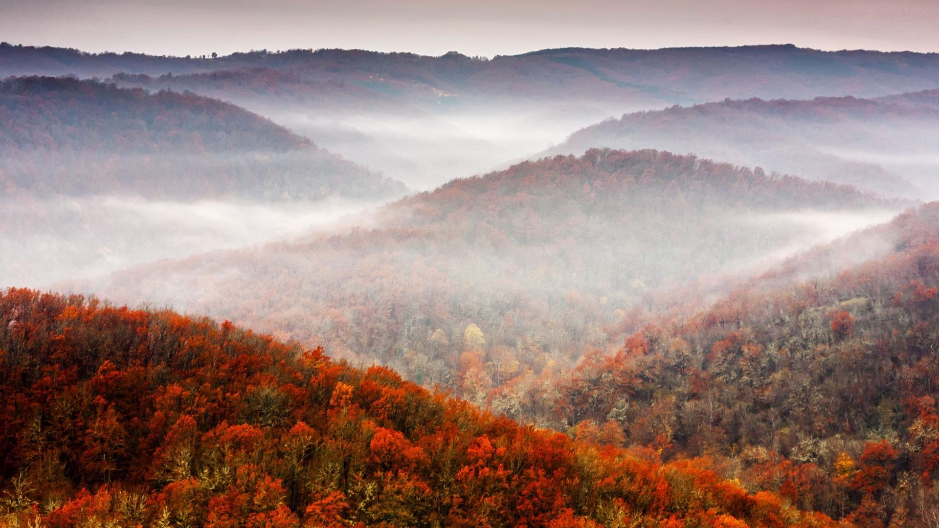 Autumn Mountains Fog Wallpapers - Wallpaper Cave