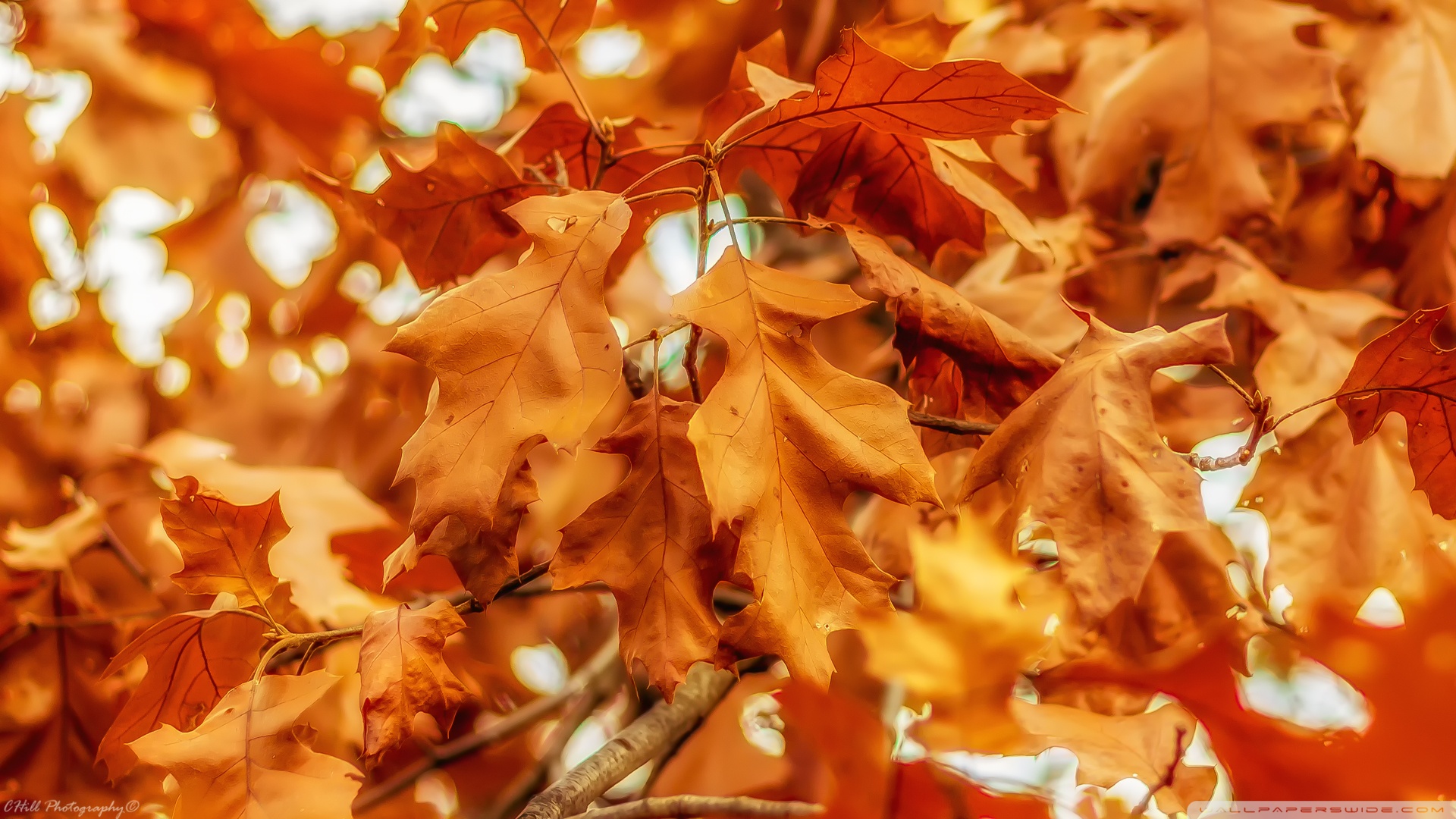 Chill Autumn Macbook Wallpapers - Wallpaper Cave