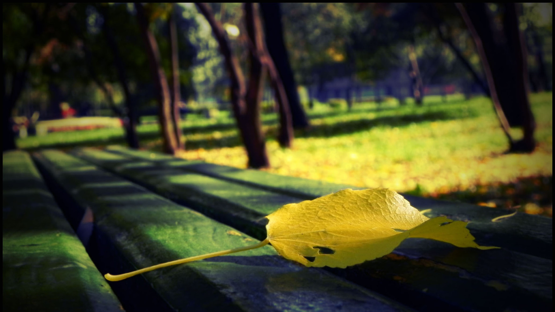 Chill Autumn Macbook Wallpapers - Wallpaper Cave