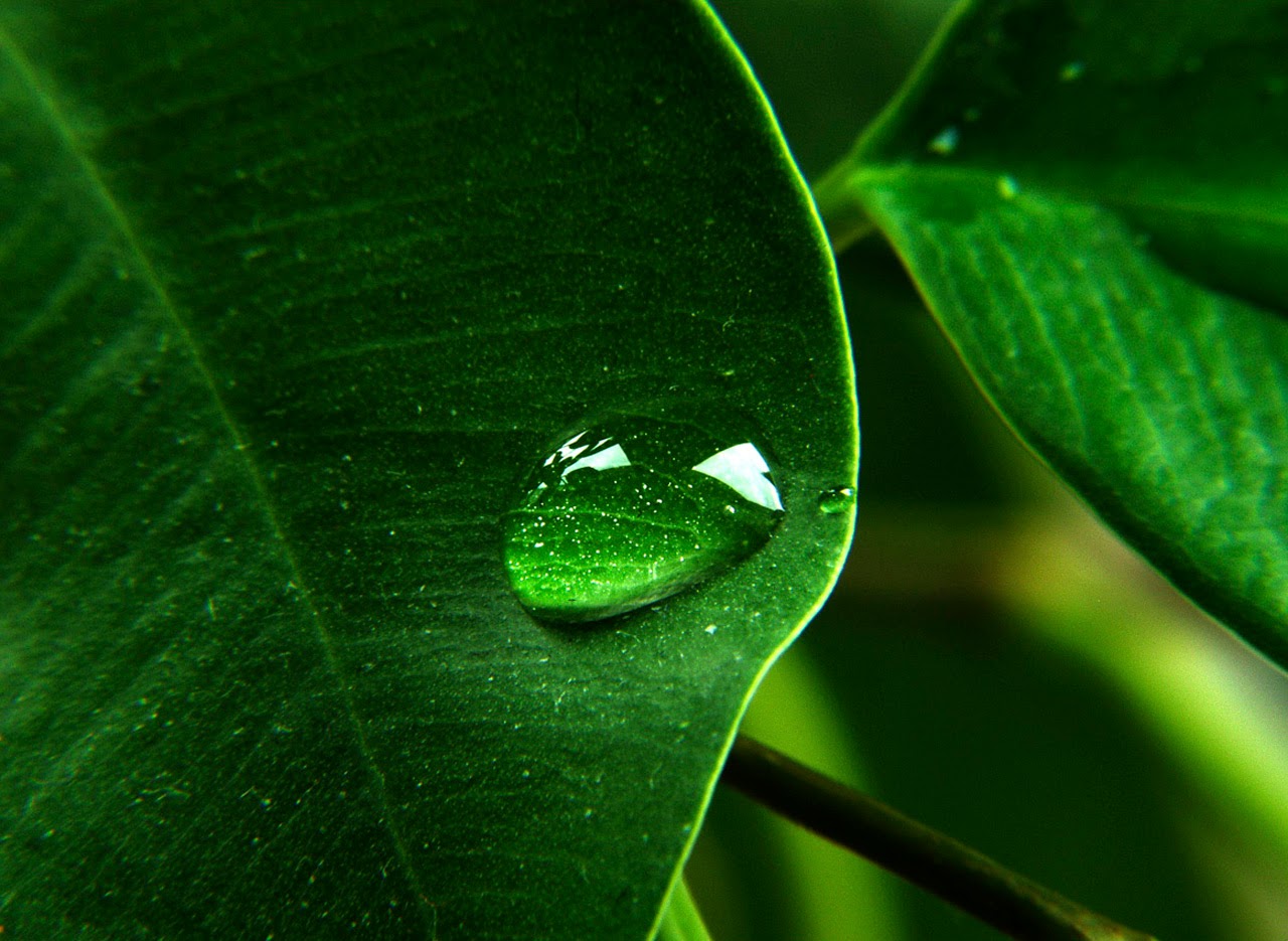 Eco Friendly Wallpapers - Wallpaper Cave