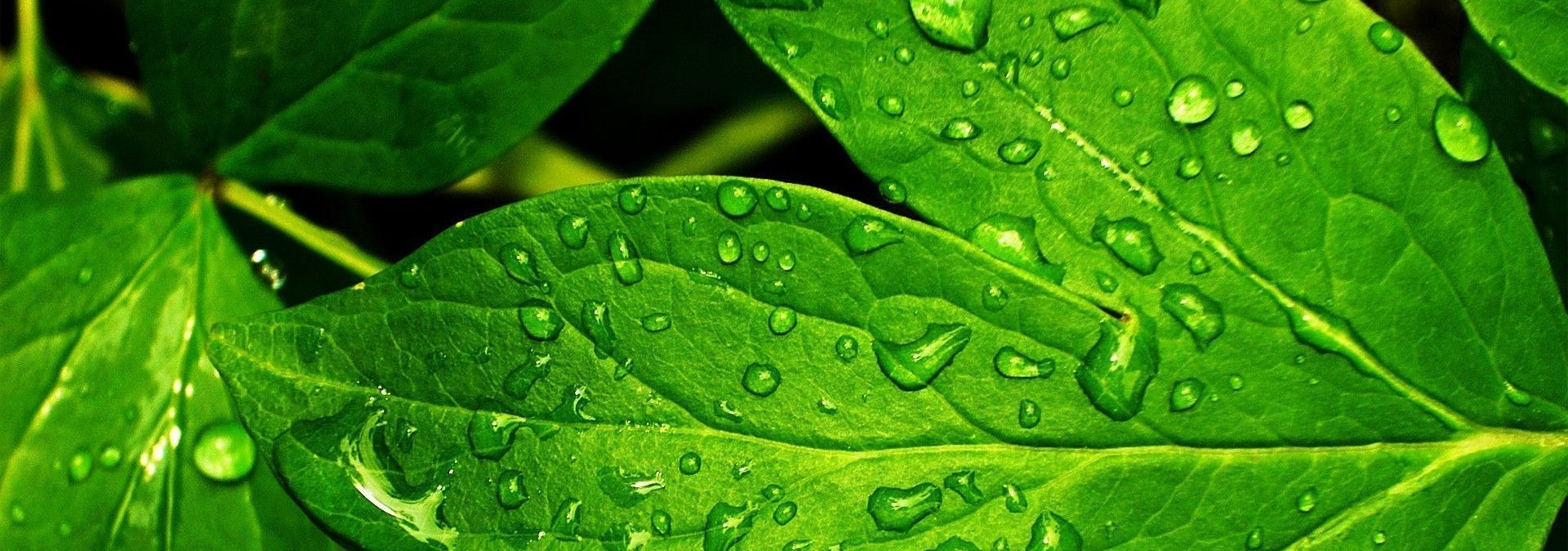 Eco Friendly Wallpapers - Wallpaper Cave