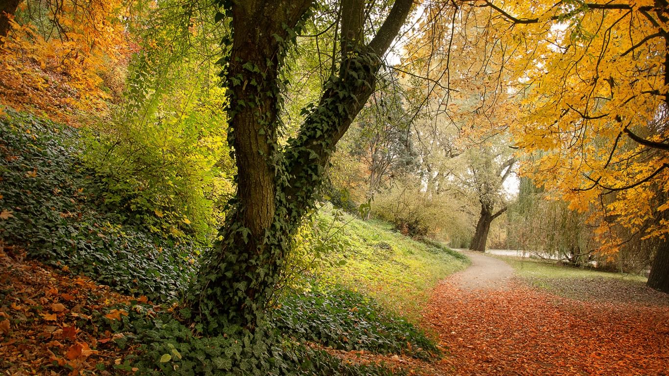 Textured Autumn Wallpapers - Wallpaper Cave