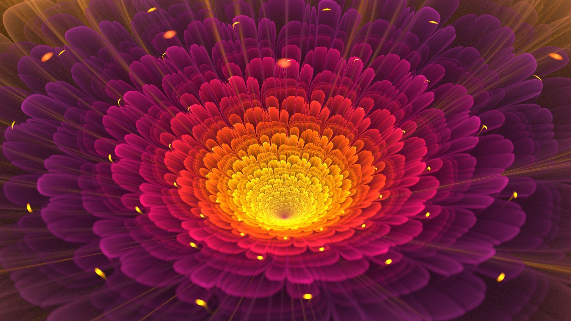 Fractal Flower Shapes Pattern HD Wallpapers - Wallpaper Cave
