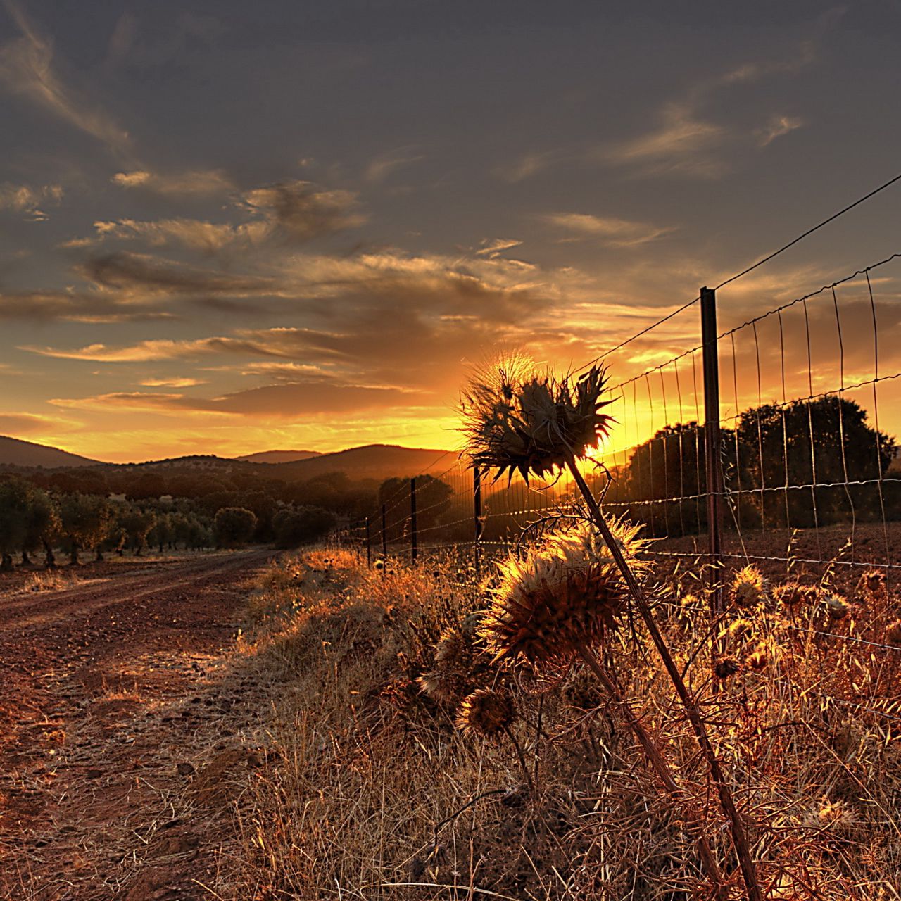 Autumn Faded Wallpapers - Wallpaper Cave