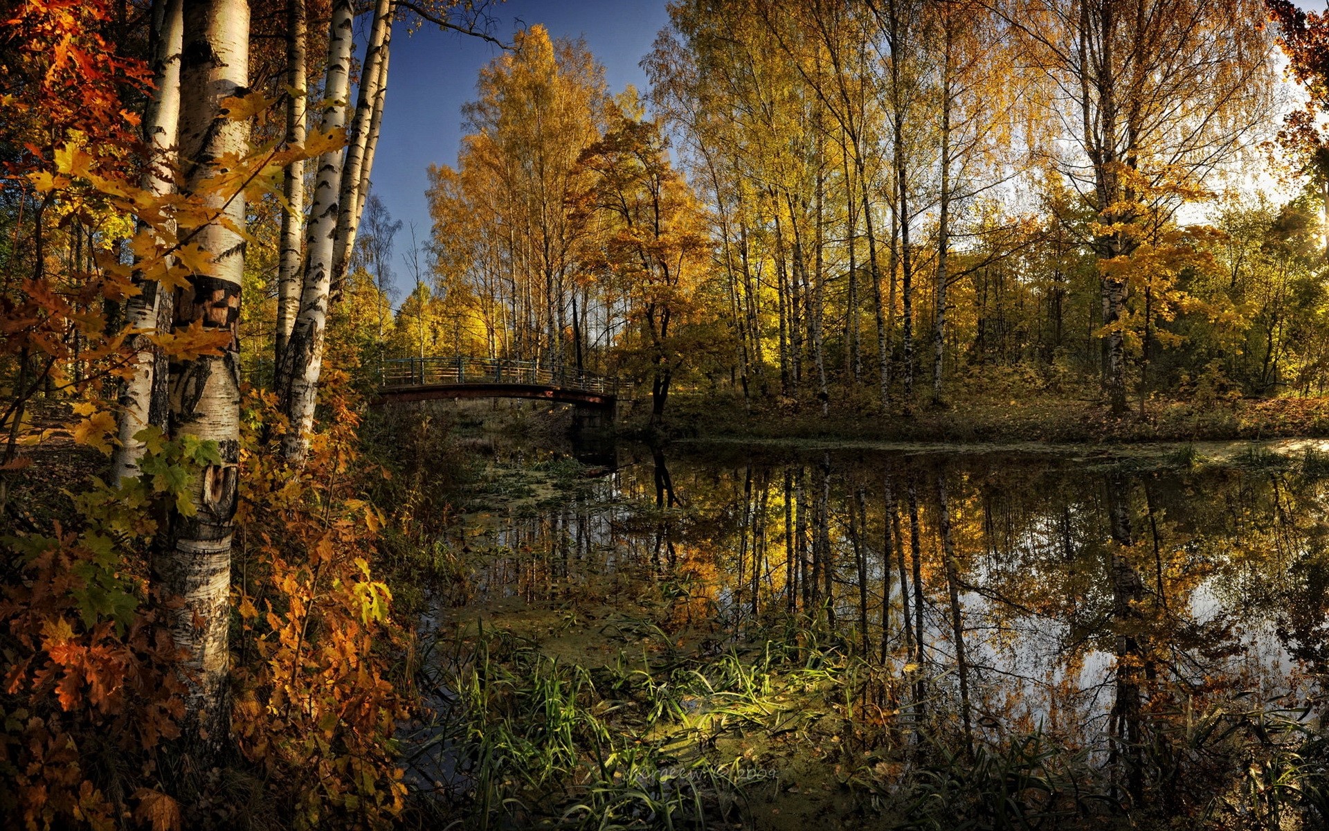 Autumn Faded Wallpapers - Wallpaper Cave