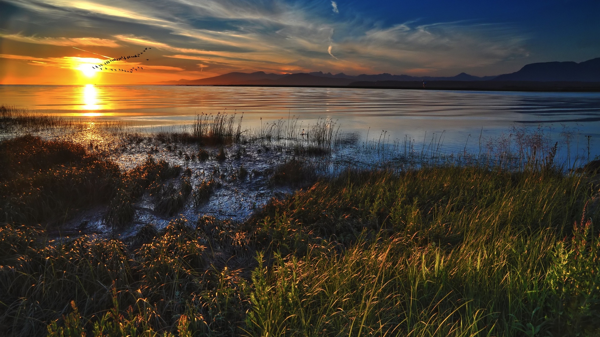 Autumn Faded Wallpapers - Wallpaper Cave