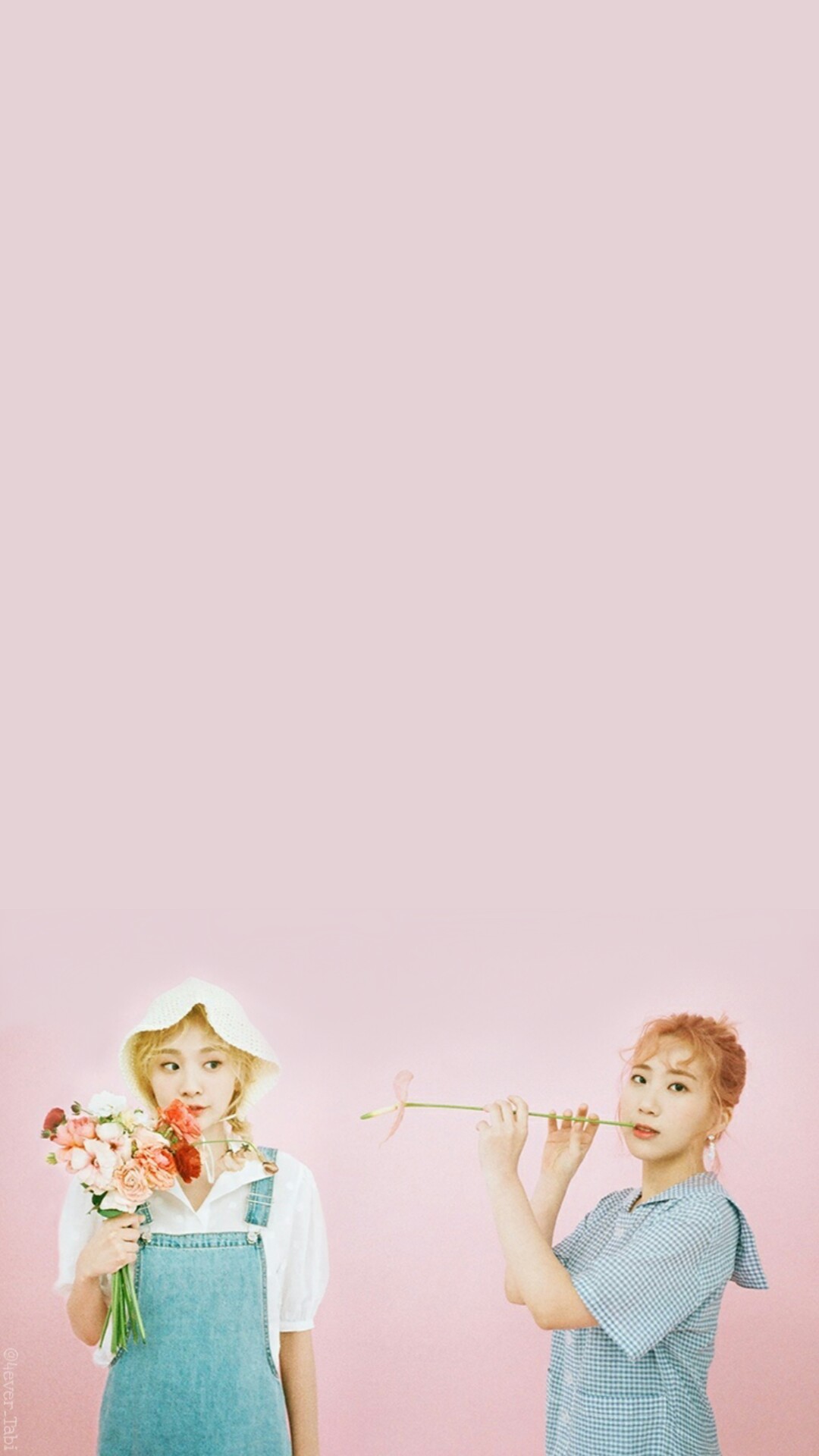 Some Bol4 Wallpapers - Wallpaper Cave