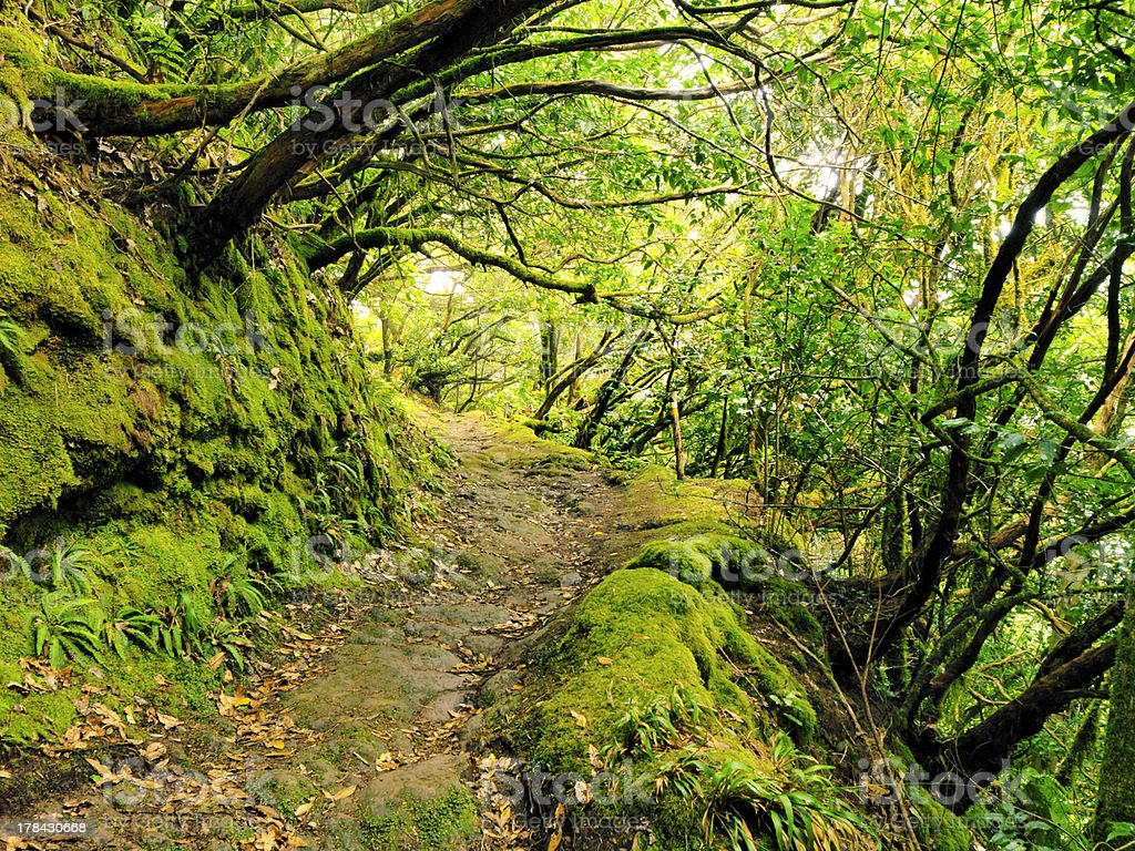 Anaga Wallpapers - Wallpaper Cave