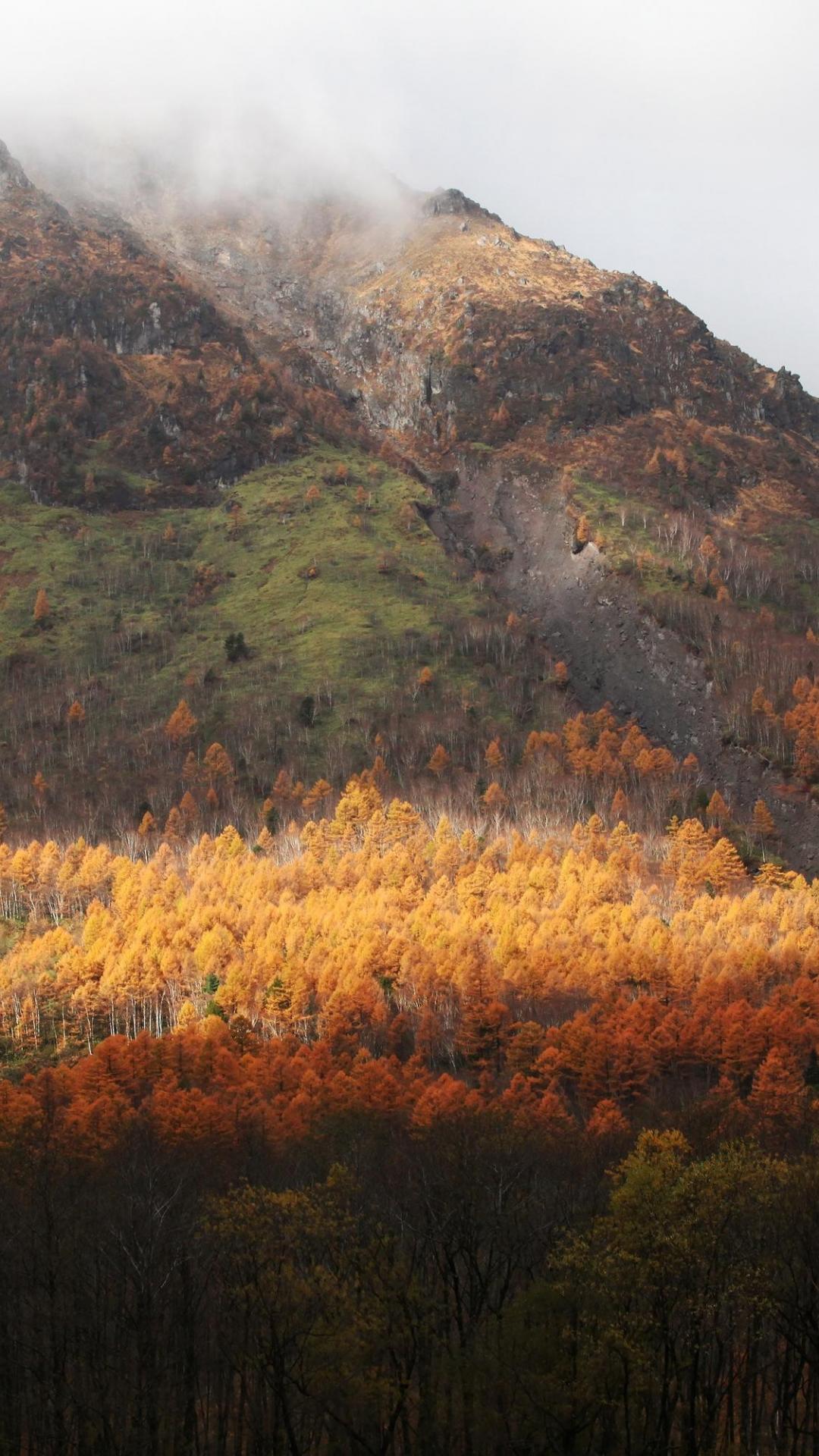 Asia Autumn Wallpapers - Wallpaper Cave