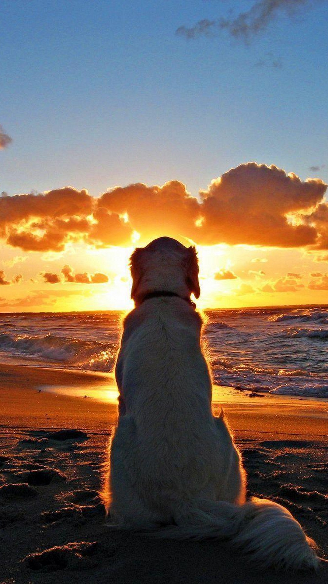 Sunset Phone Wallpapers - Wallpaper Cave