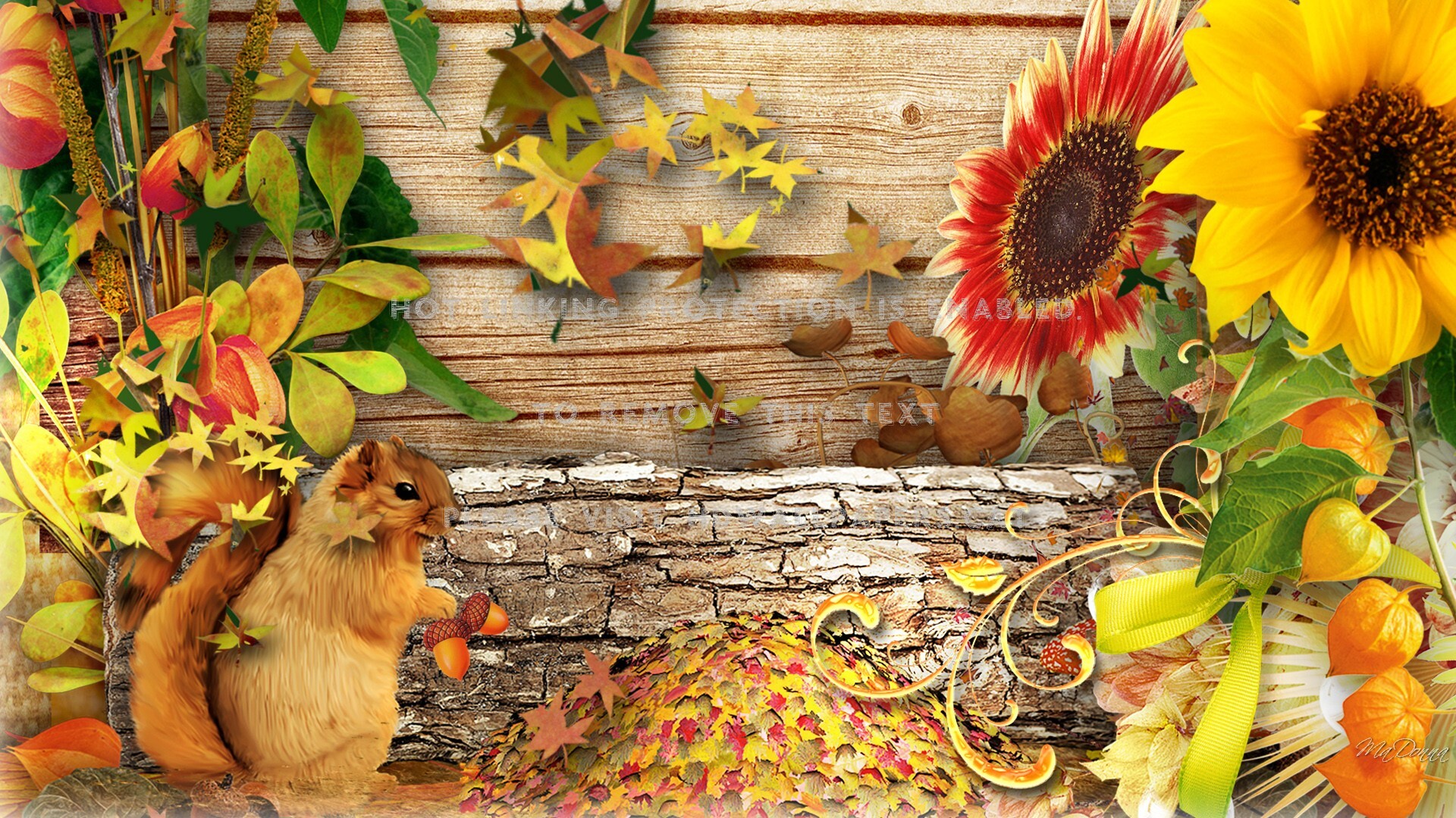 Sunflowers Autumn Wallpapers - Wallpaper Cave