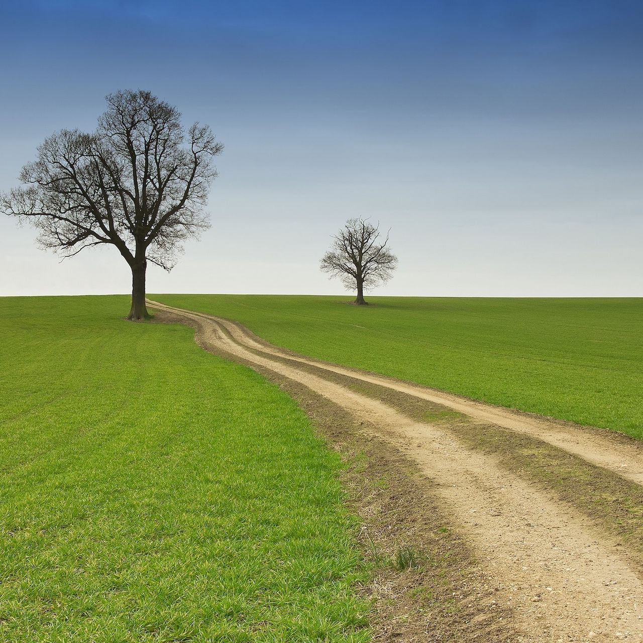 Summer Tree Road Wallpapers - Wallpaper Cave