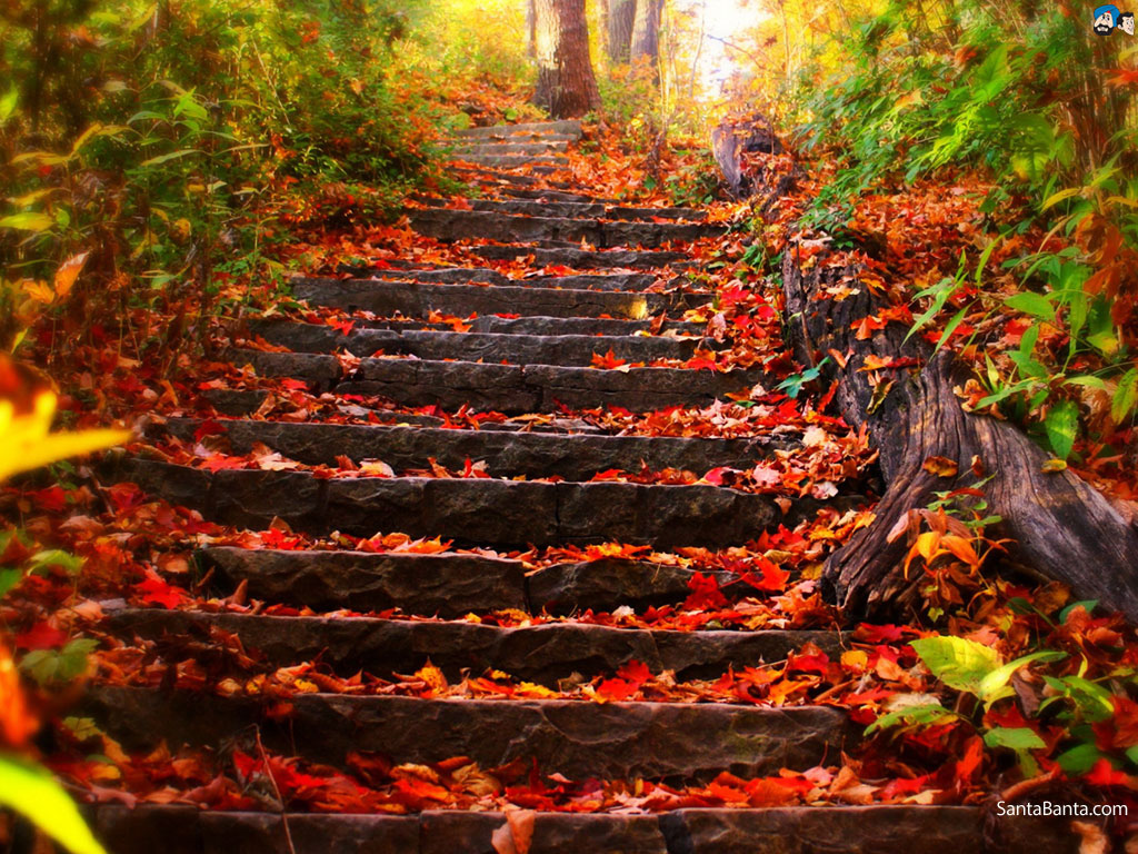 Autumn Outdoors Wallpapers - Wallpaper Cave