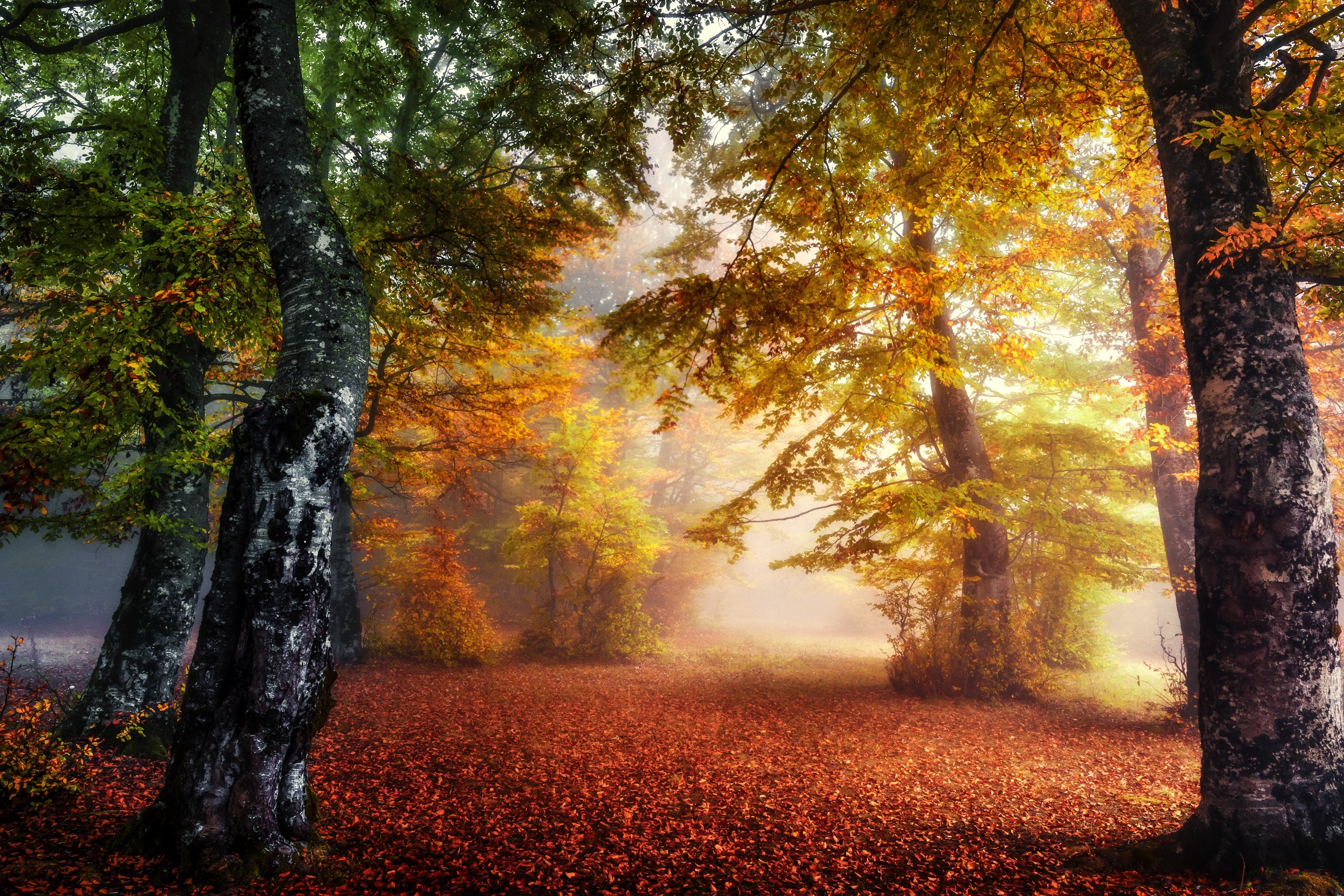 Autumn Outdoors Wallpapers - Wallpaper Cave