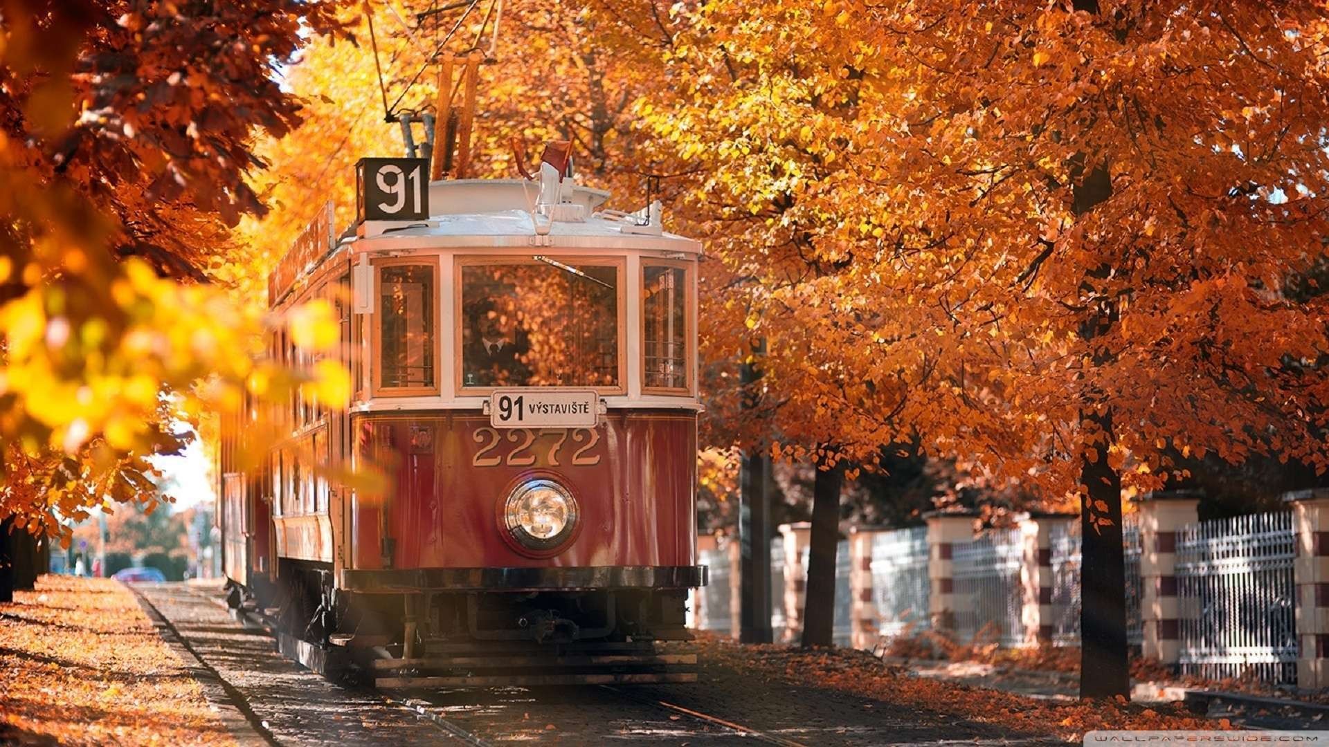 Autumn Train 1920x1080 Wallpapers - Wallpaper Cave