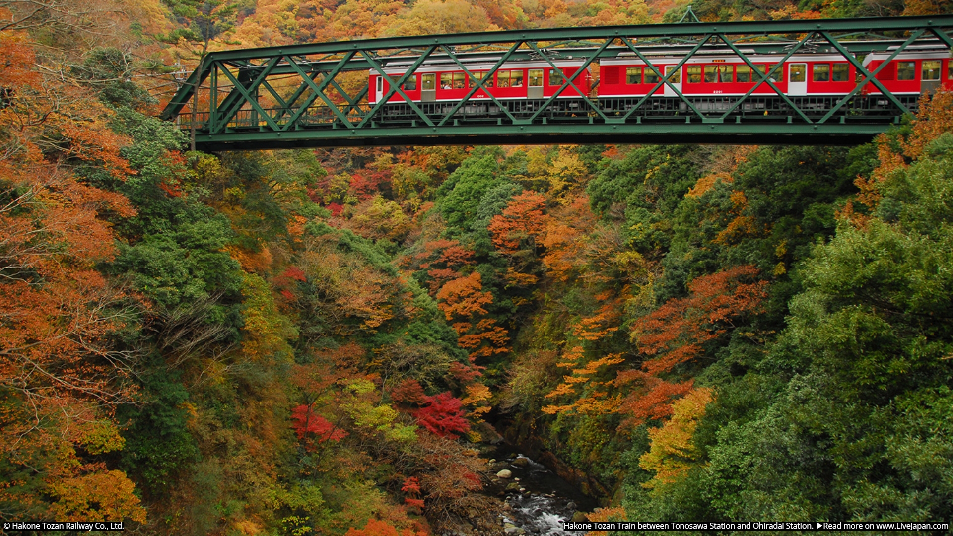 Autumn Train 1920x1080 Wallpapers - Wallpaper Cave
