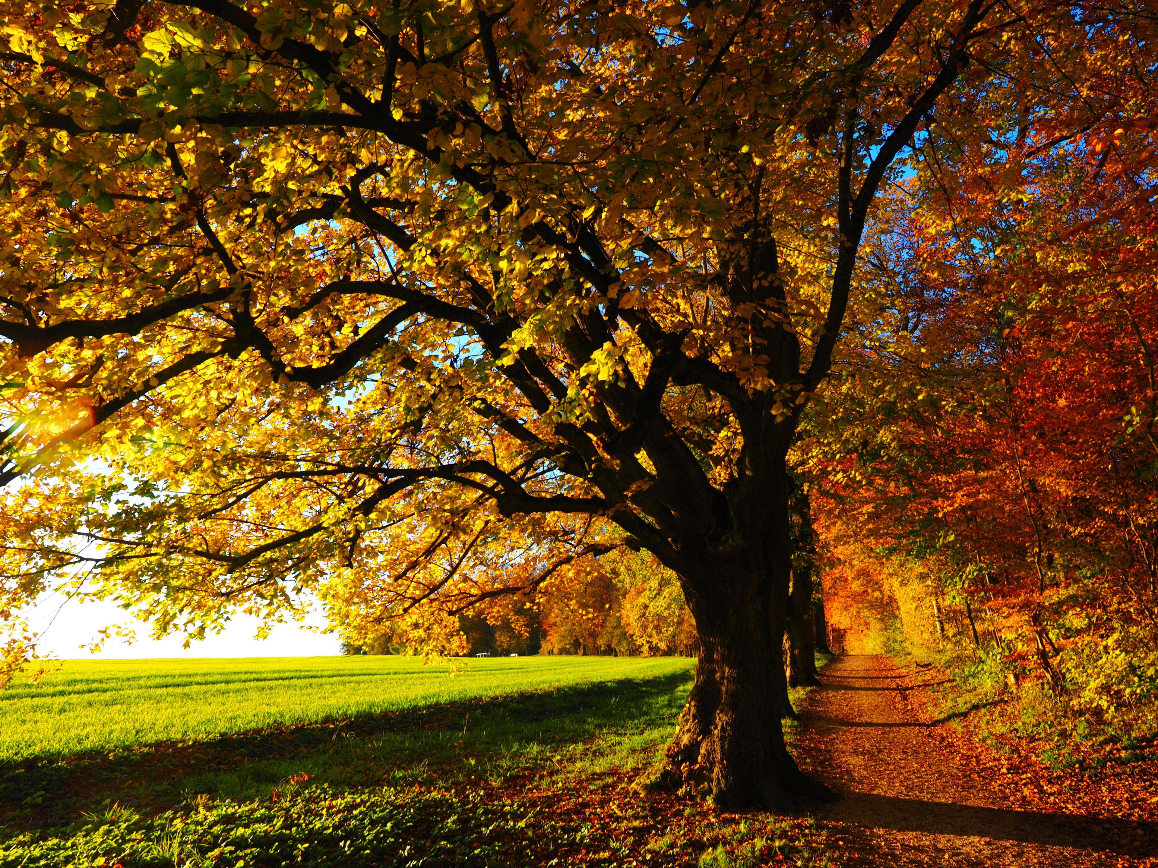 Autumn Outdoors Wallpapers - Wallpaper Cave