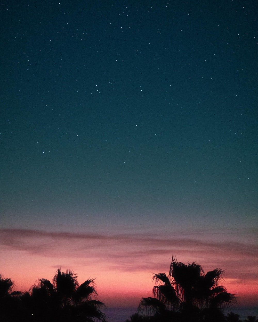 Summer Star Wallpapers - Wallpaper Cave