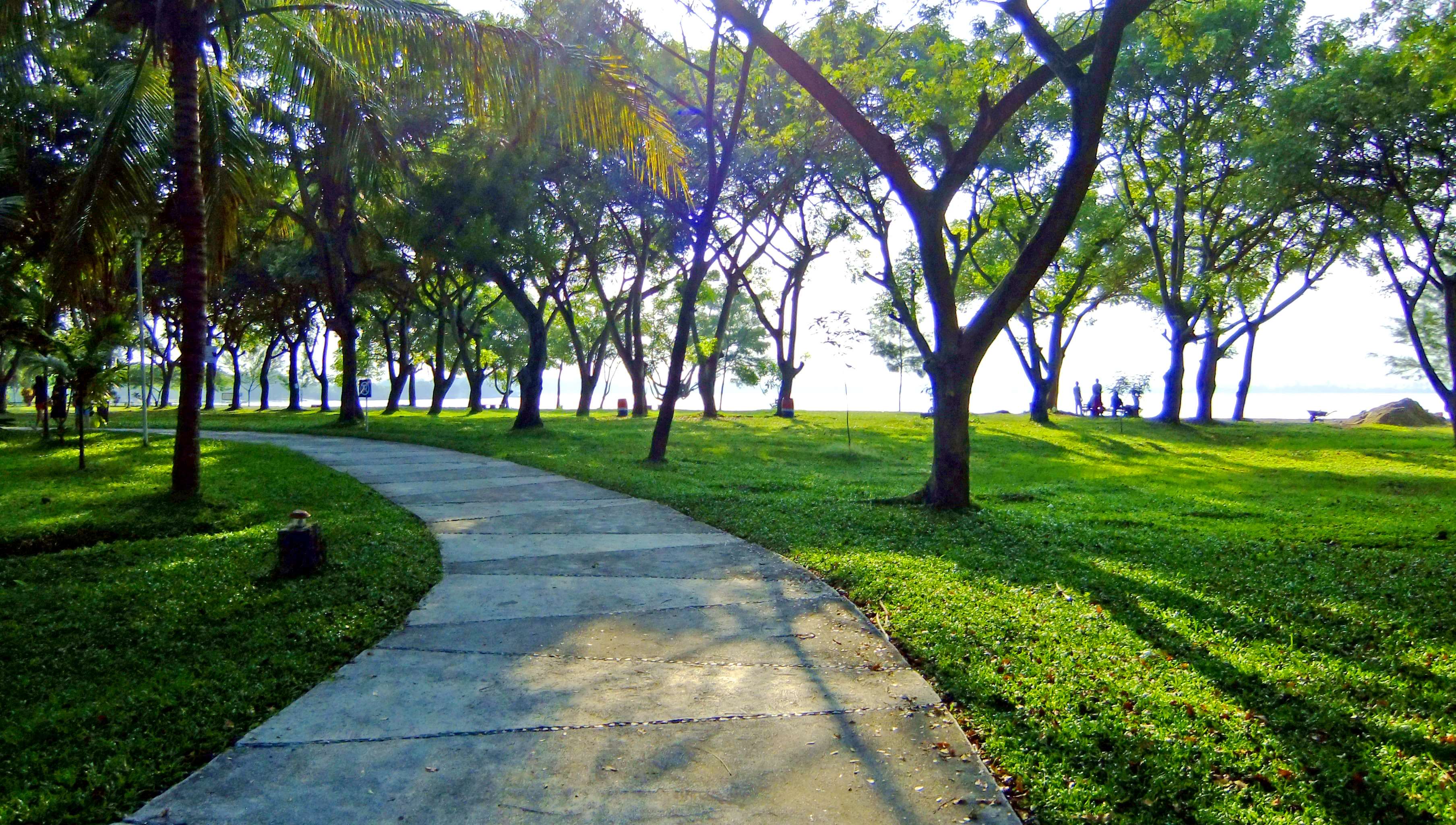 Morning Walk Wallpapers - Wallpaper Cave