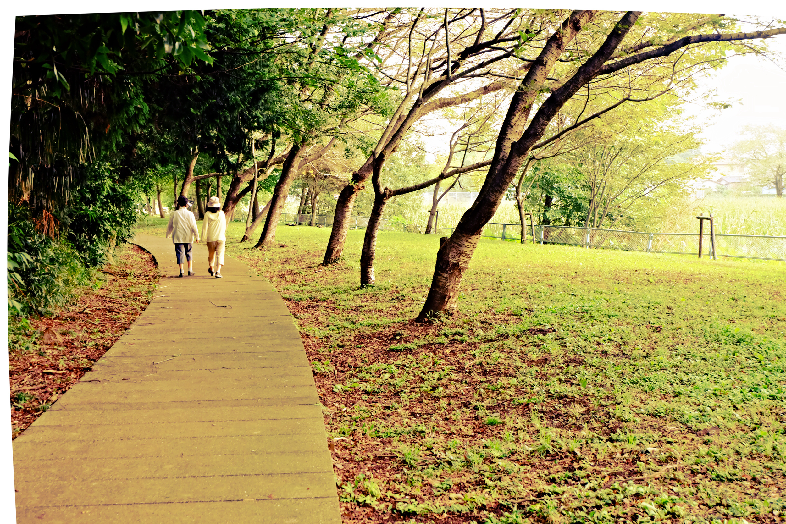 Morning Walk Wallpapers - Wallpaper Cave