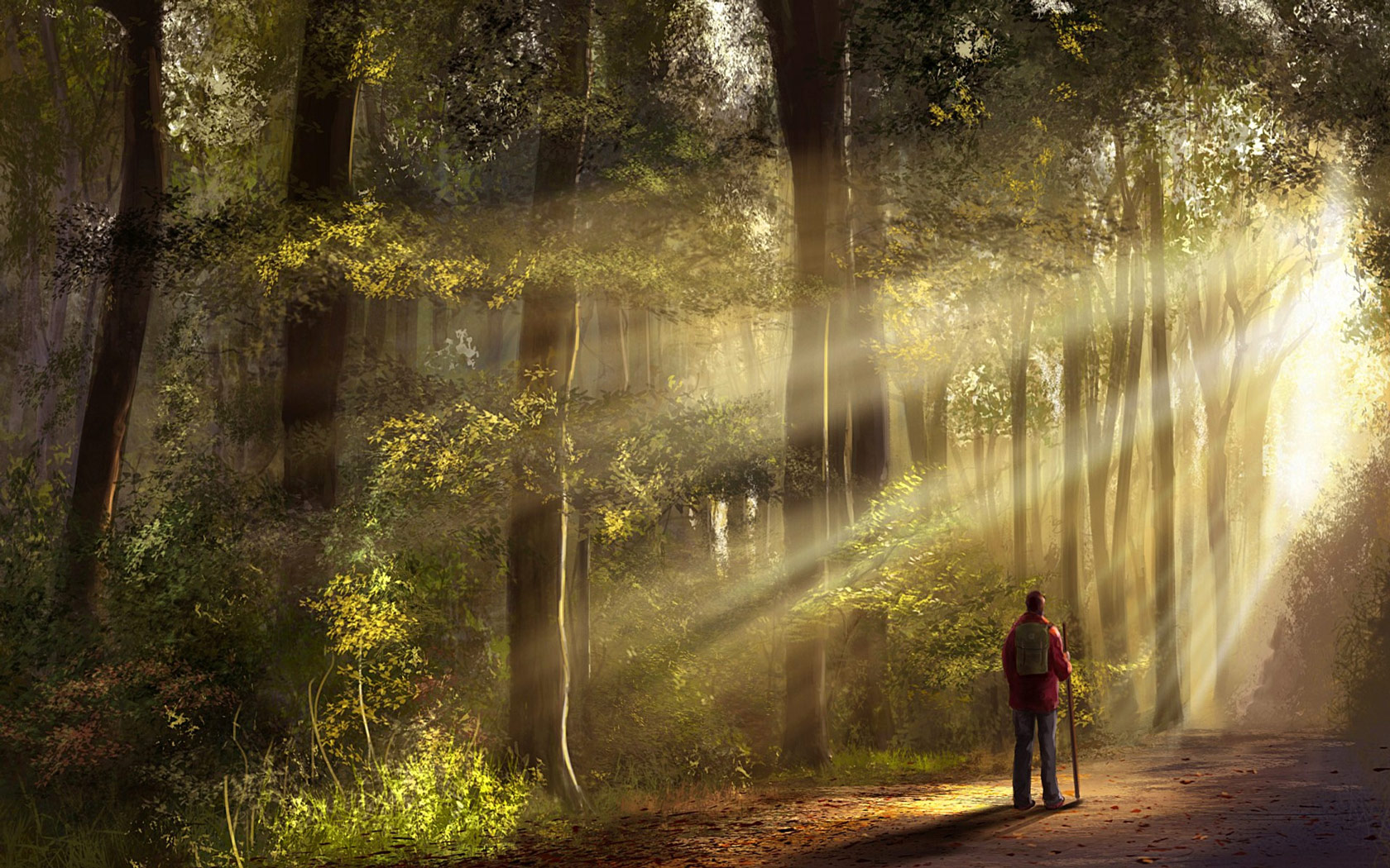 Morning Walk Wallpapers - Wallpaper Cave