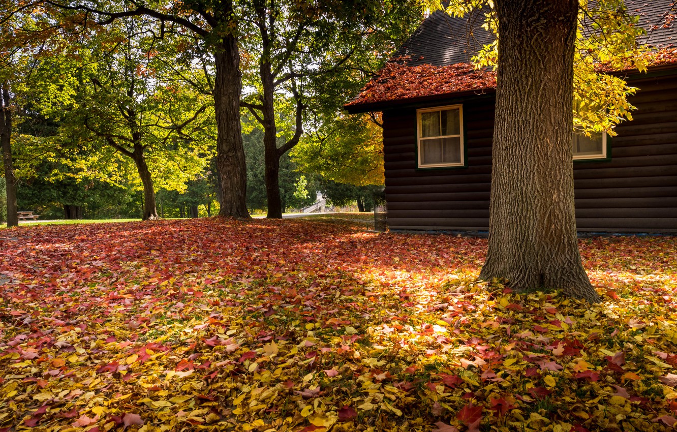 Autumn Forest House Wallpapers - Wallpaper Cave