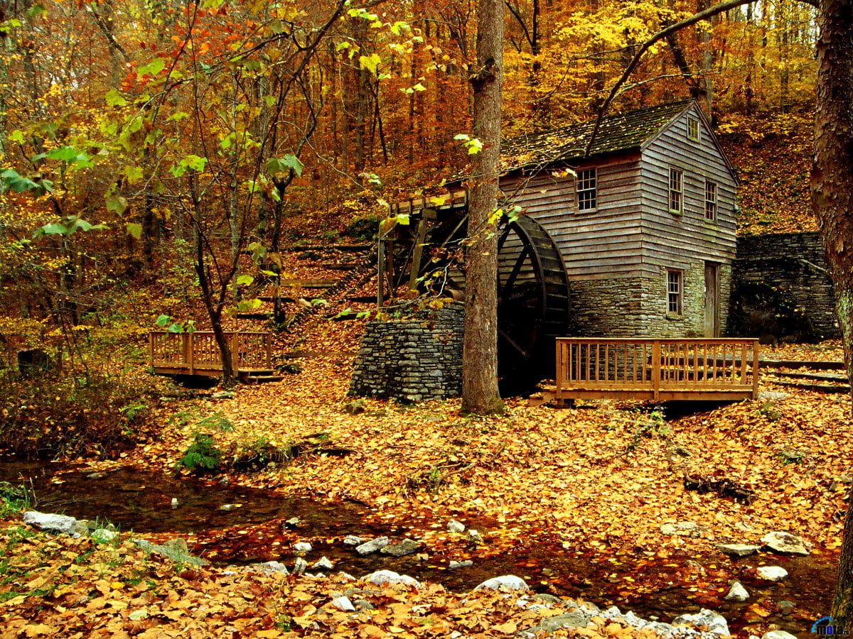 Autumn Forest House Wallpapers - Wallpaper Cave