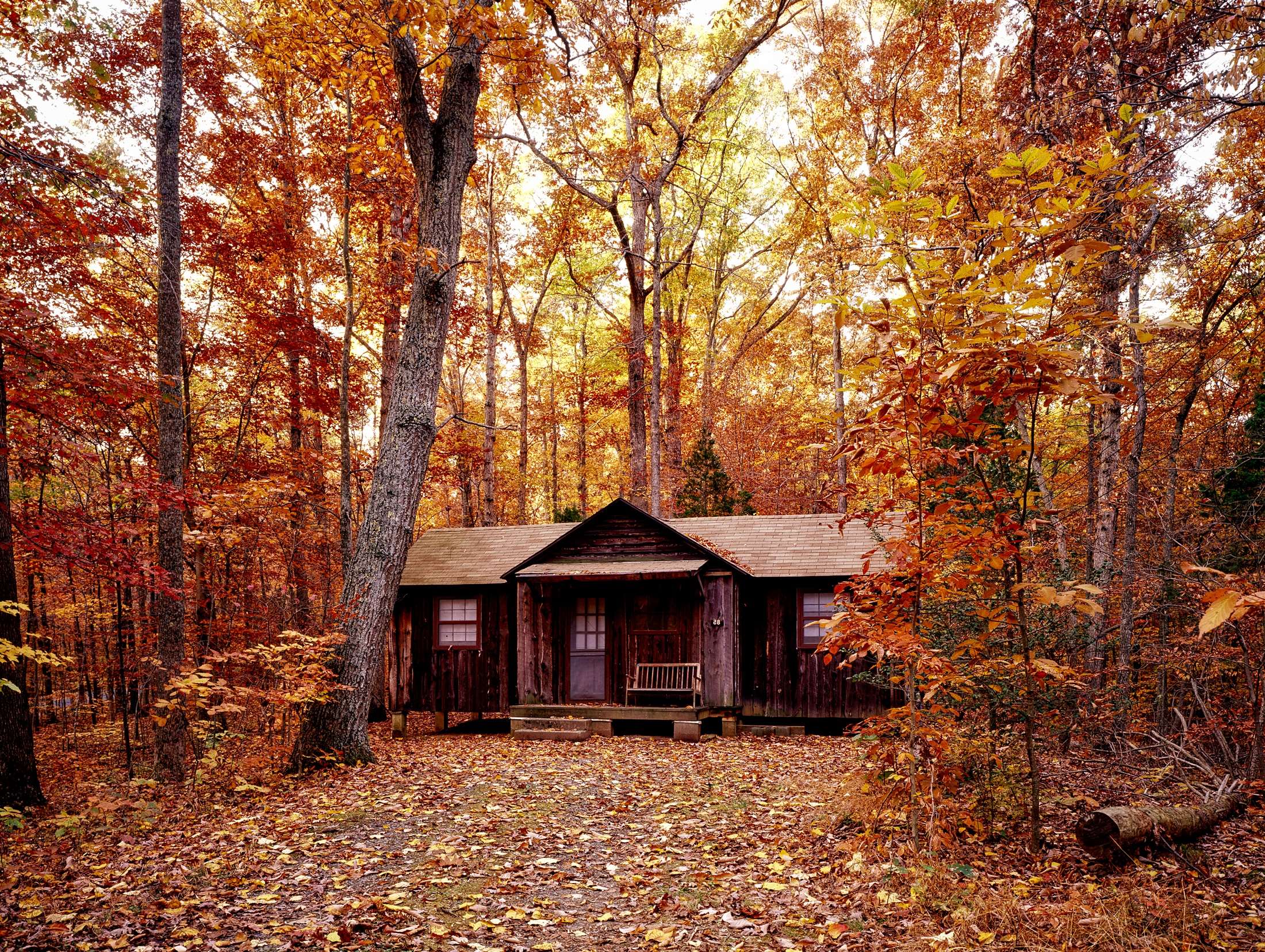 Autumn Forest House Wallpapers - Wallpaper Cave