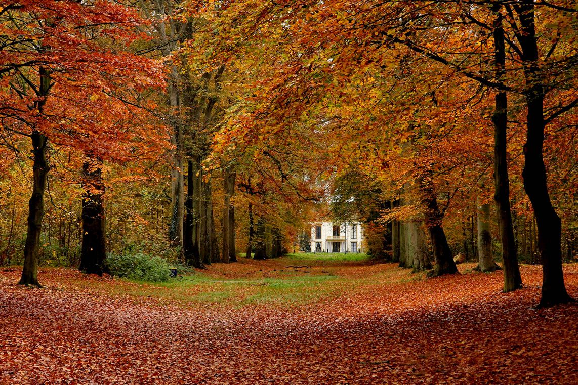 Autumn Forest House Wallpapers - Wallpaper Cave