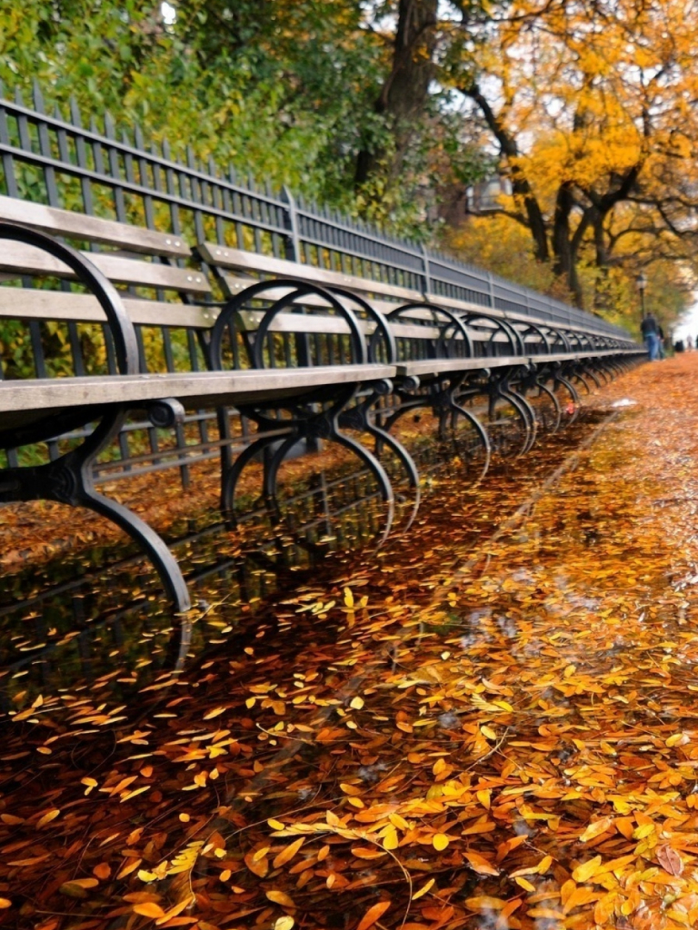 City Autumn Leaves Wallpapers - Wallpaper Cave