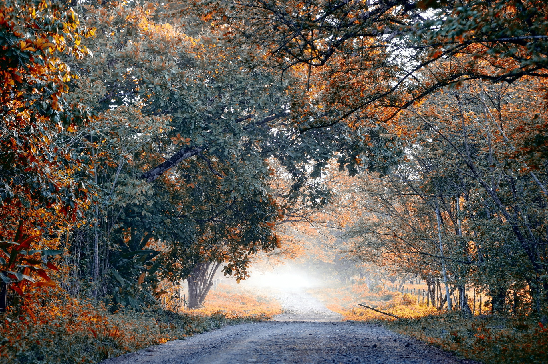 Street View Autumn Wallpapers - Wallpaper Cave