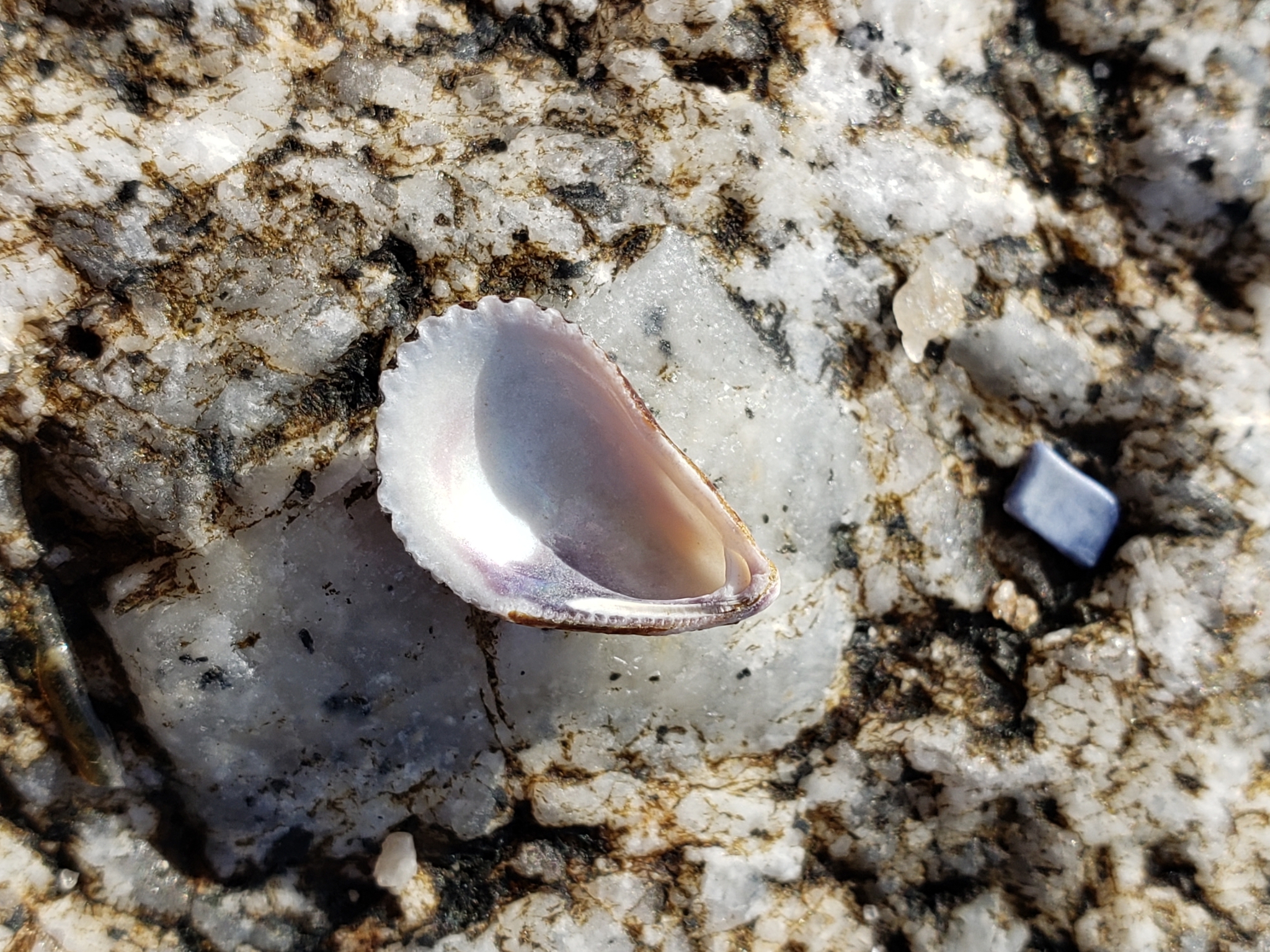 Tresus Wallpapers - Wallpaper Cave