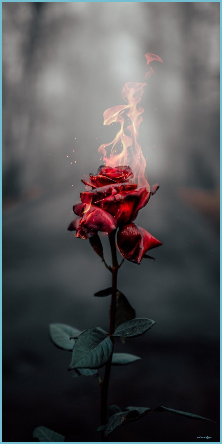 Sad Flower Wallpapers - Wallpaper Cave