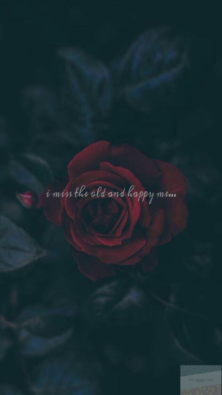 Sad Flowers Aesthetic Wallpapers - Wallpaper Cave