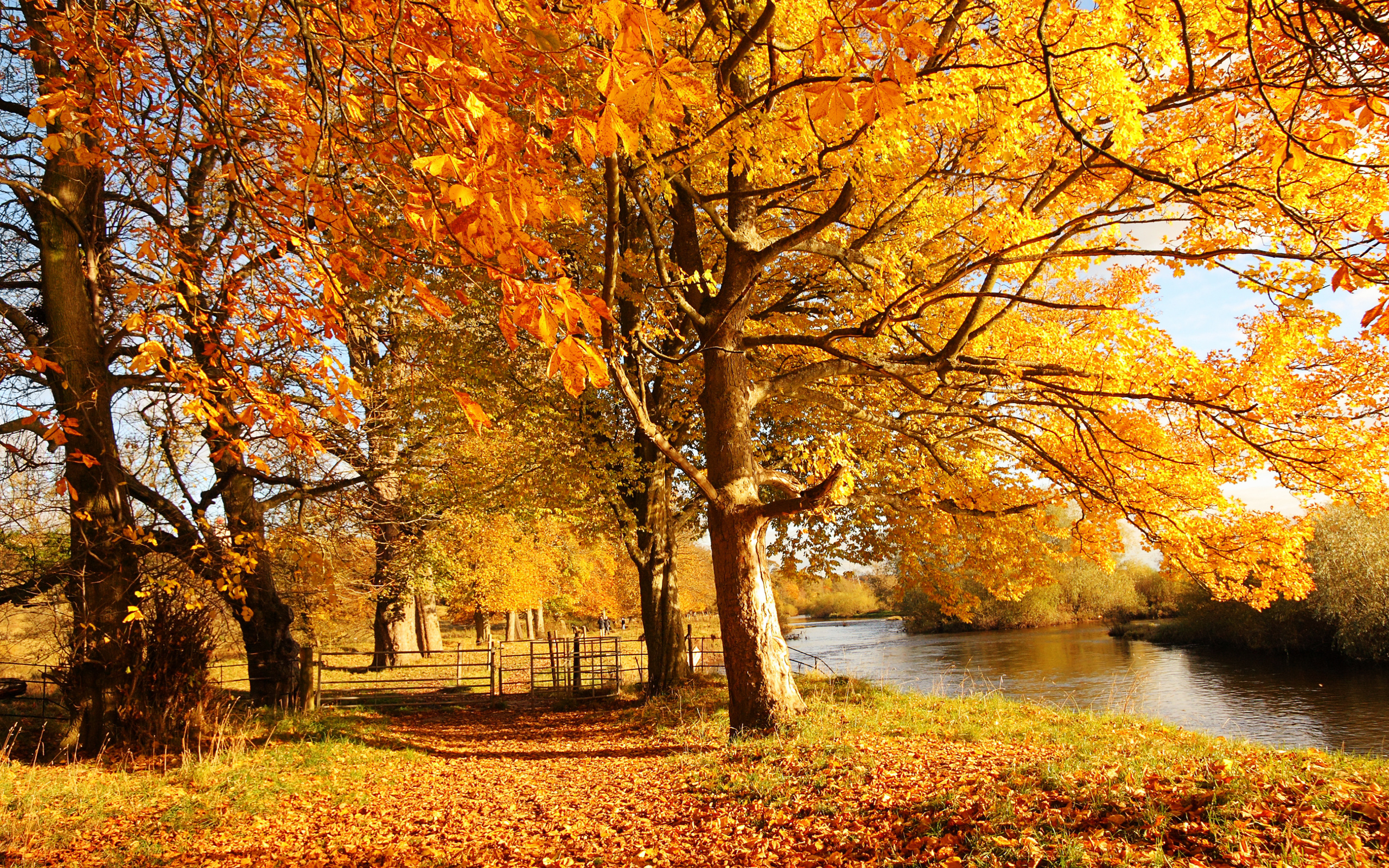 Autumn Scotland Wallpapers - Wallpaper Cave