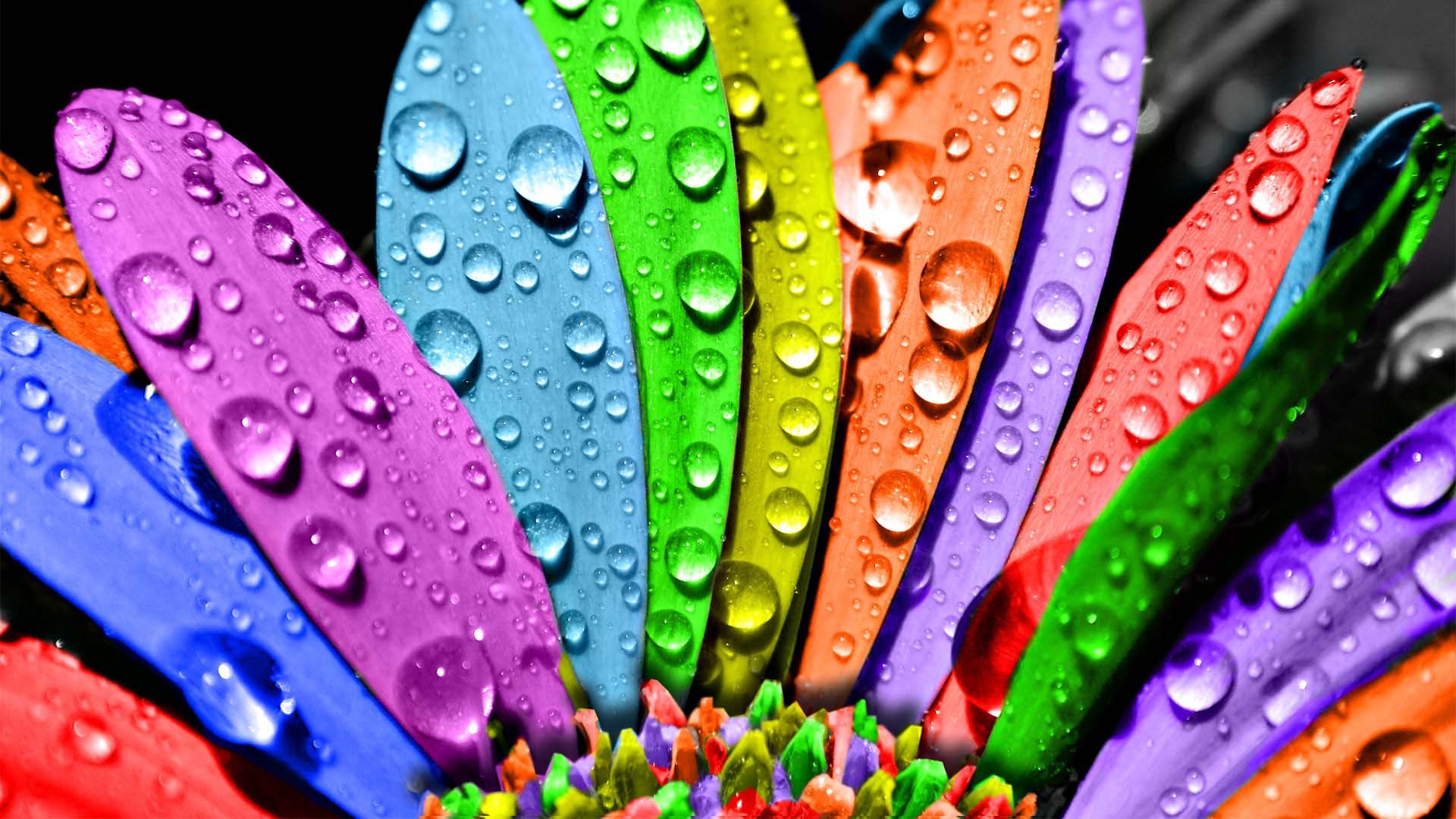 Colorful Flowers Abstract Wallpapers - Wallpaper Cave