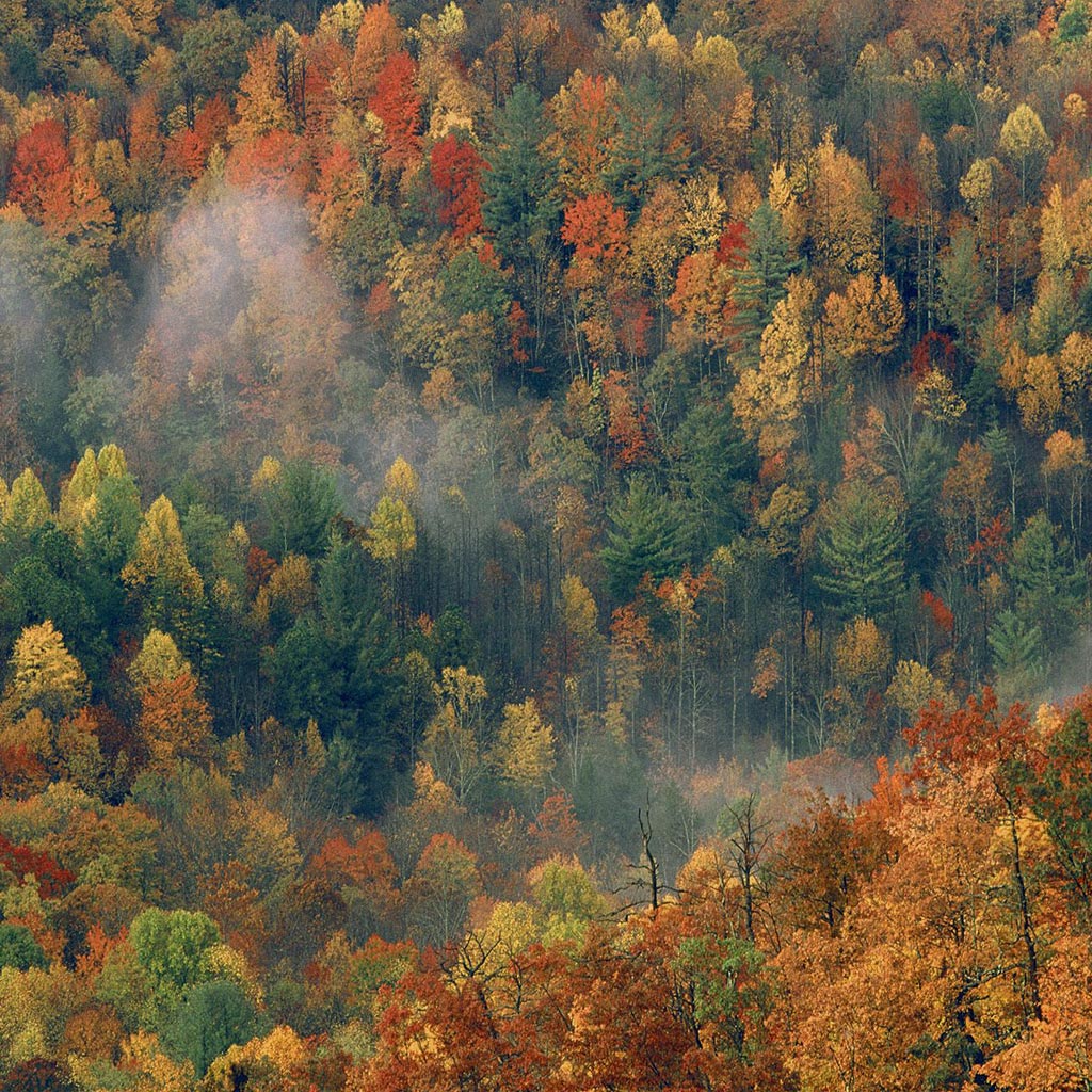 Landscape View Colorful Autumn Wallpapers - Wallpaper Cave