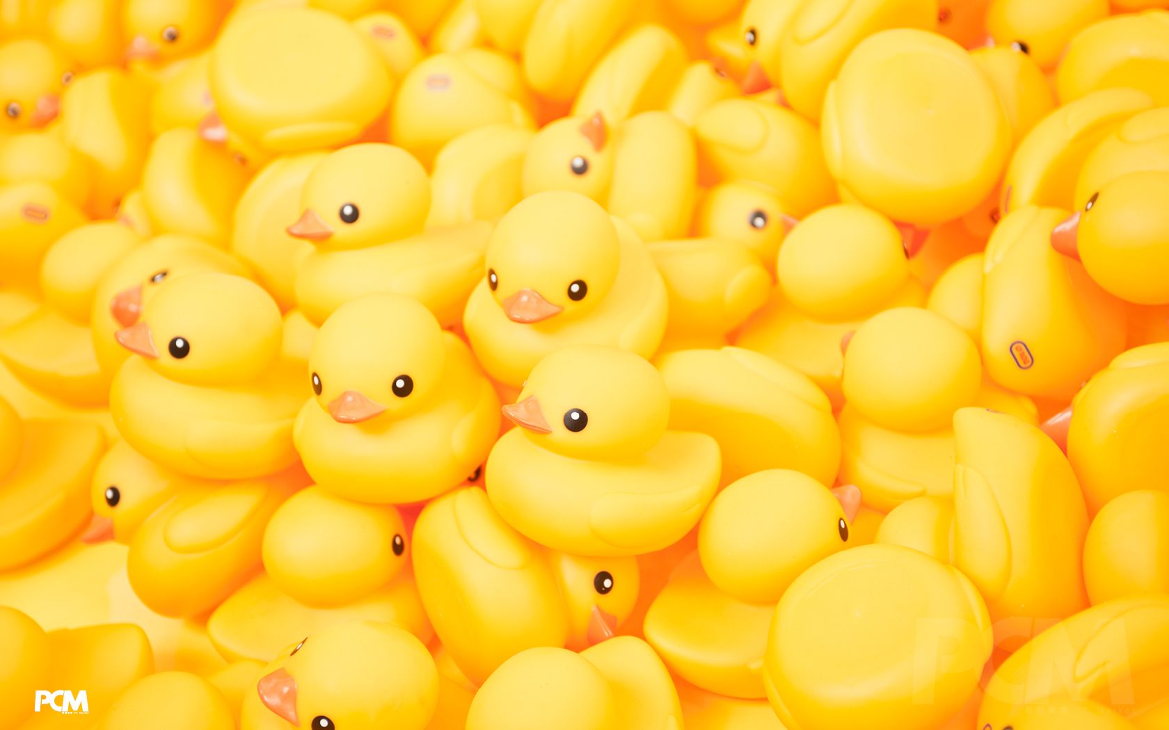 Duck Computer Wallpapers - Wallpaper Cave