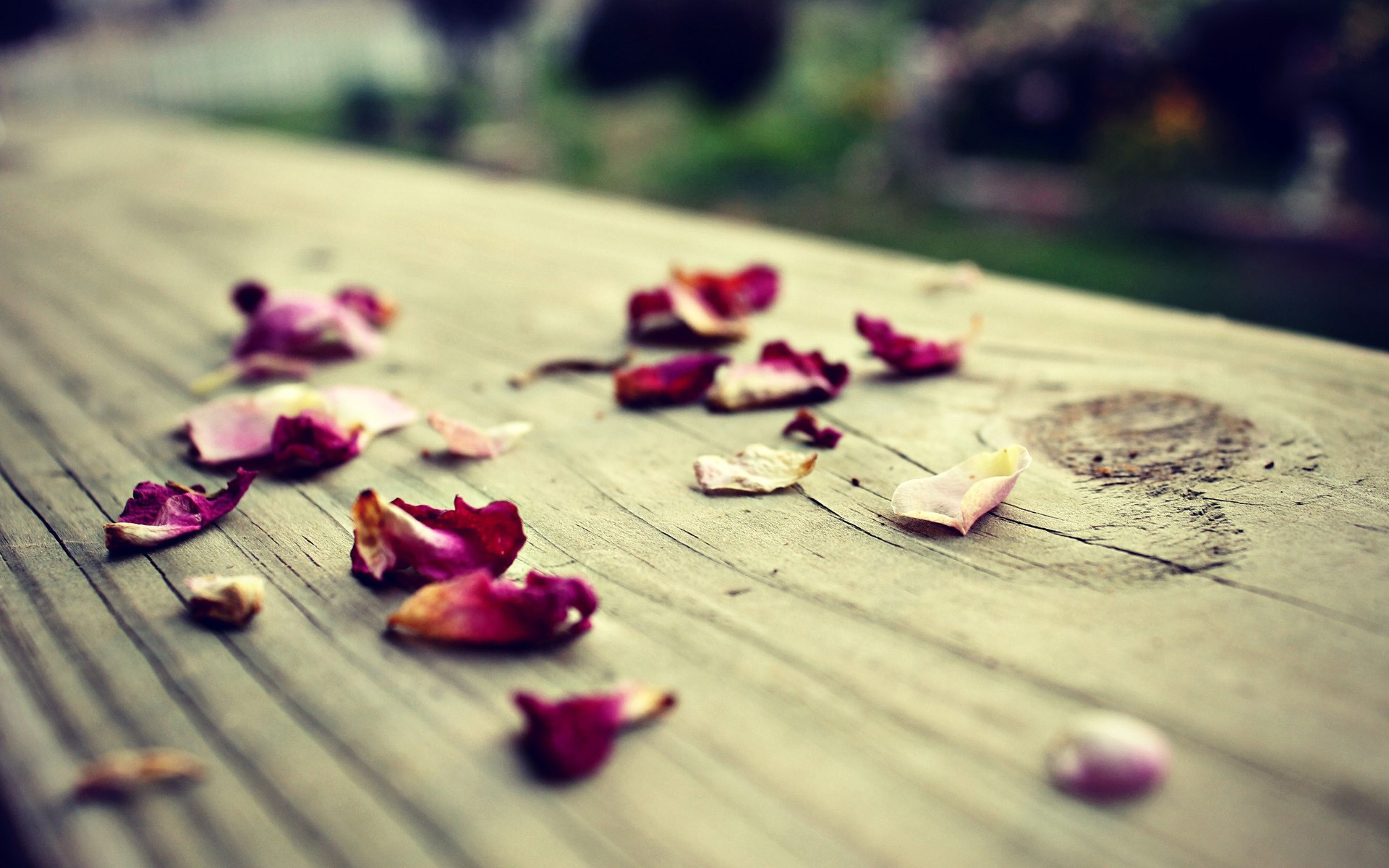 Sad Flowers Wallpapers - Wallpaper Cave