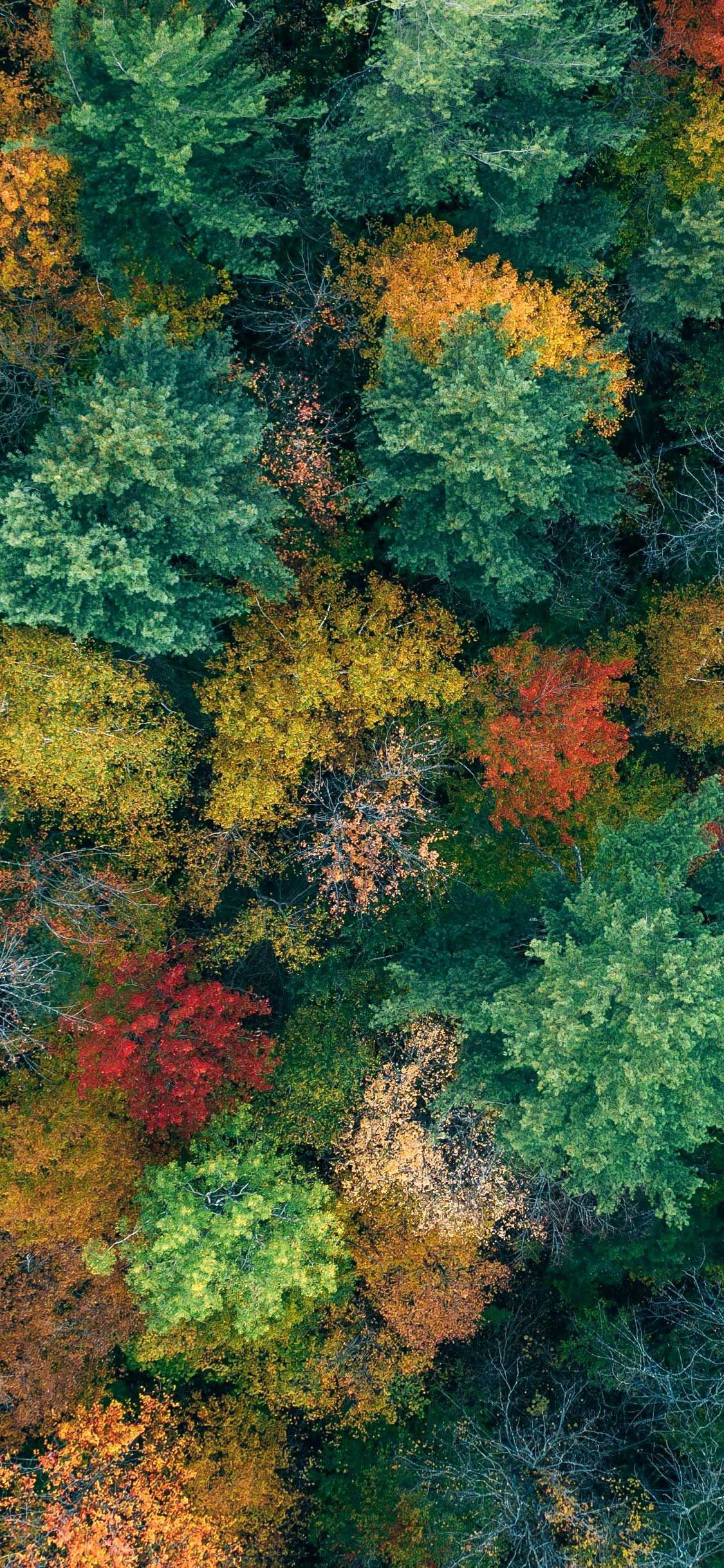 Aerial View Autumn Wallpapers - Wallpaper Cave