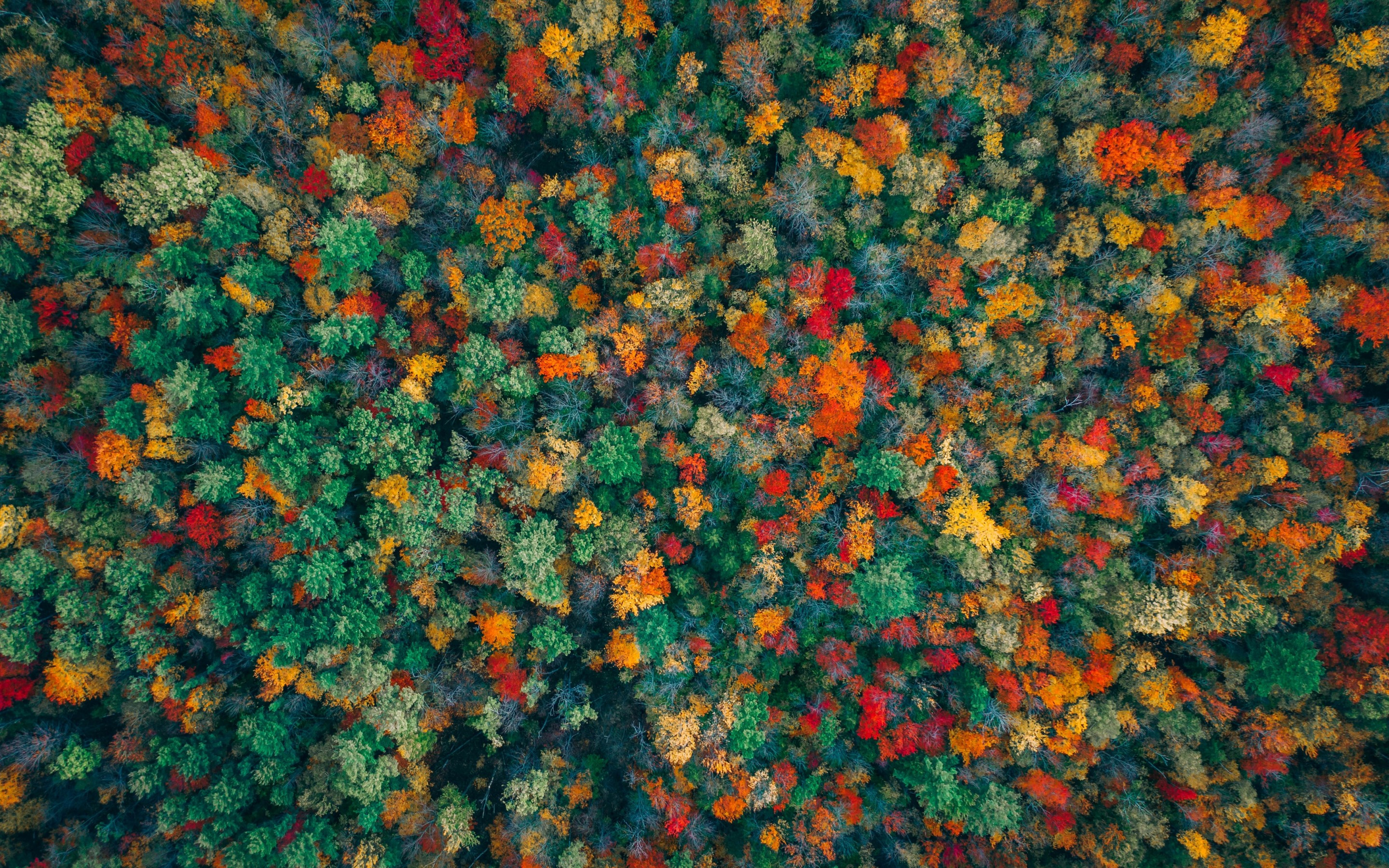 Aerial View Autumn Wallpapers - Wallpaper Cave