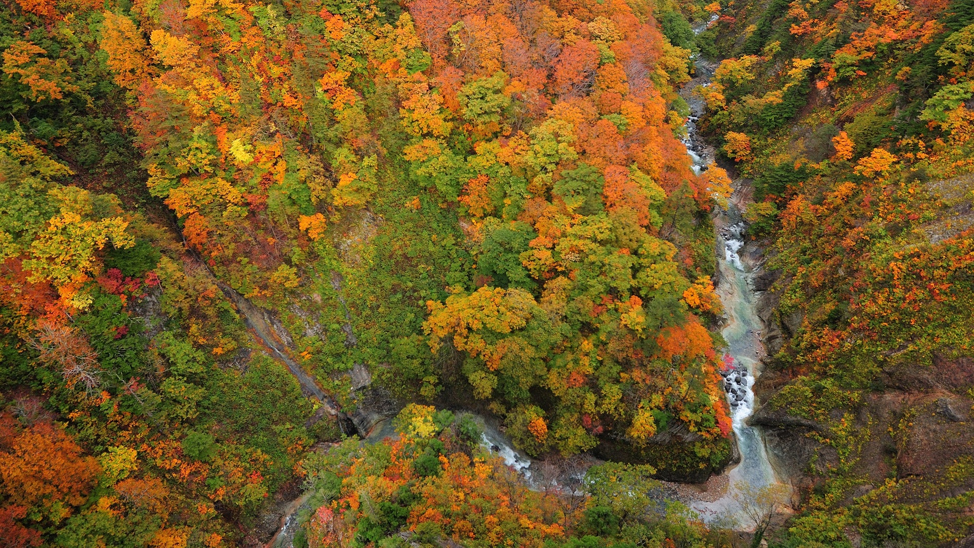 Aerial View Autumn Wallpapers - Wallpaper Cave