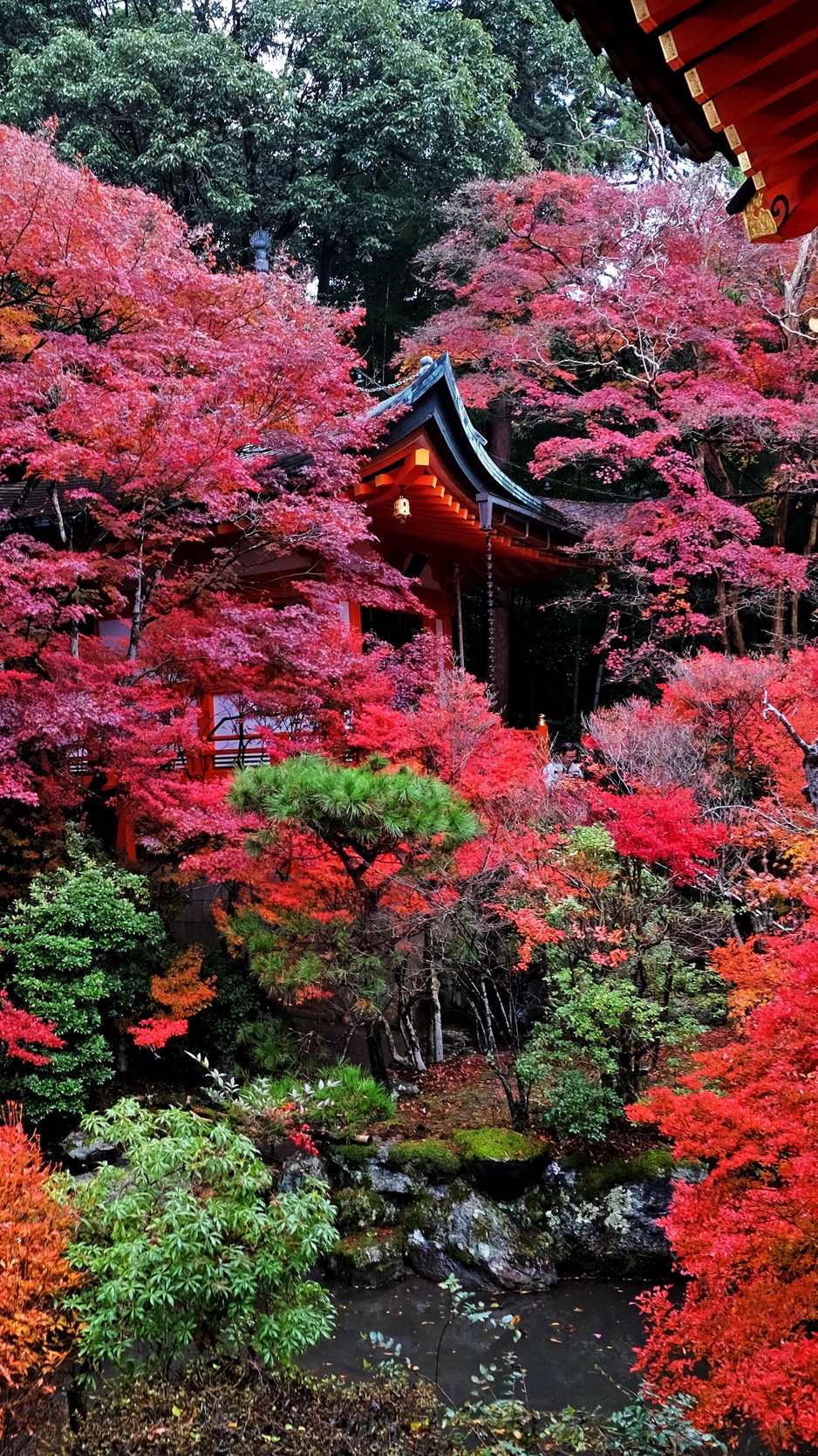 Japanese Autumn Phone Wallpapers - Wallpaper Cave