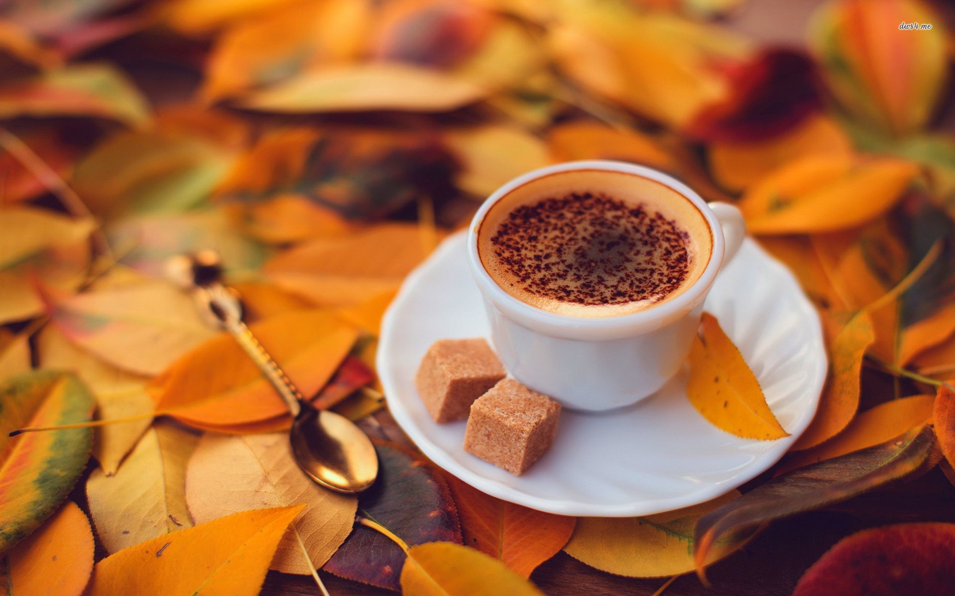 Coffee And Autumn Computer Wallpapers - Wallpaper Cave