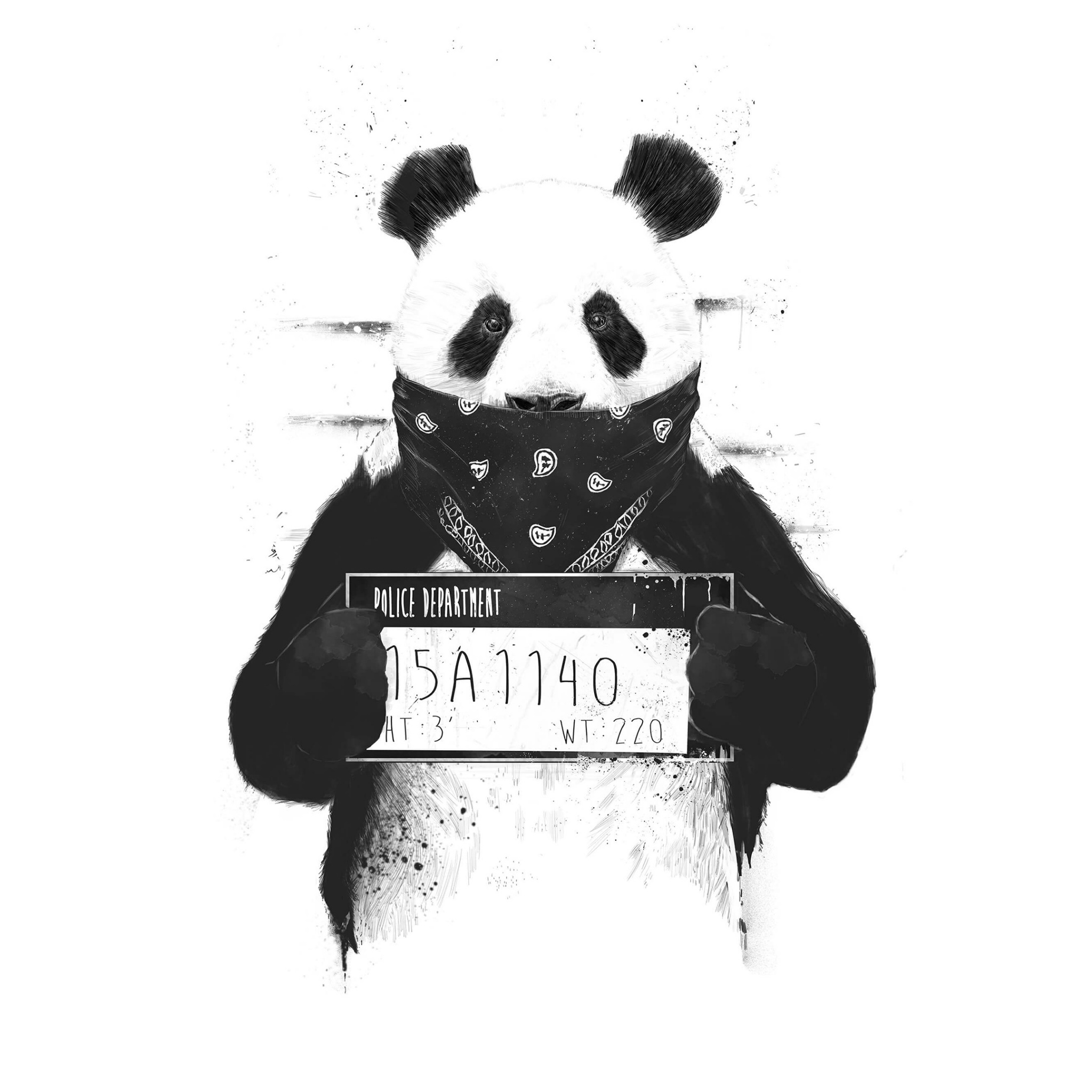 Badpanda Wallpapers - Wallpaper Cave