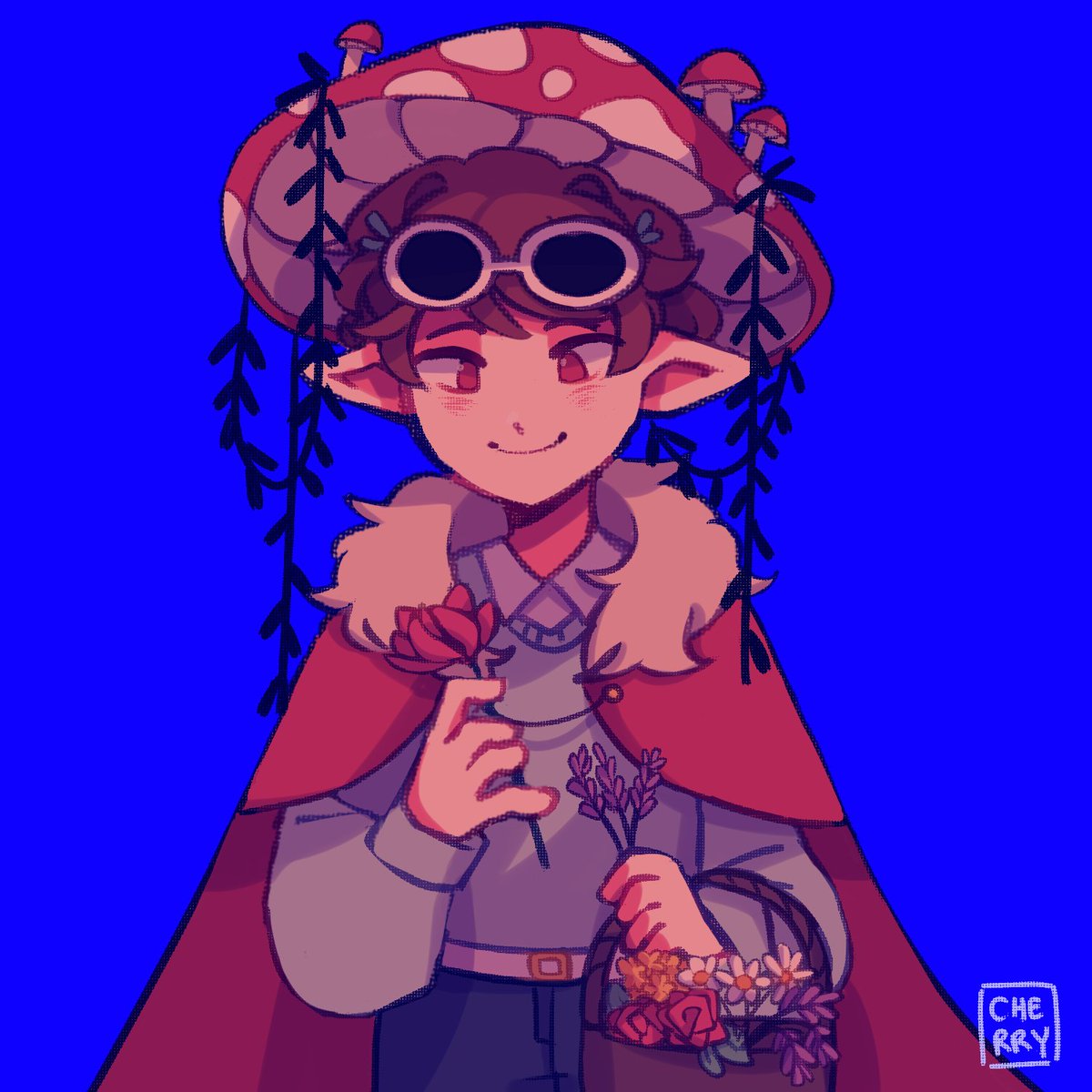 Mushroom Gogy Wallpapers - Wallpaper Cave