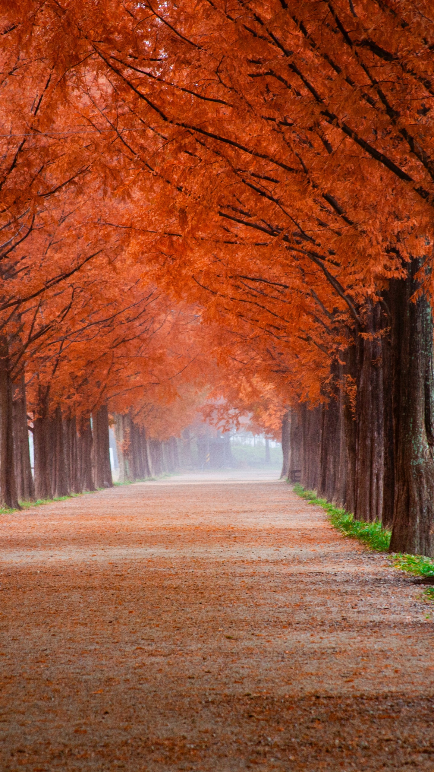 Gradient Autumn Wallpapers - Wallpaper Cave